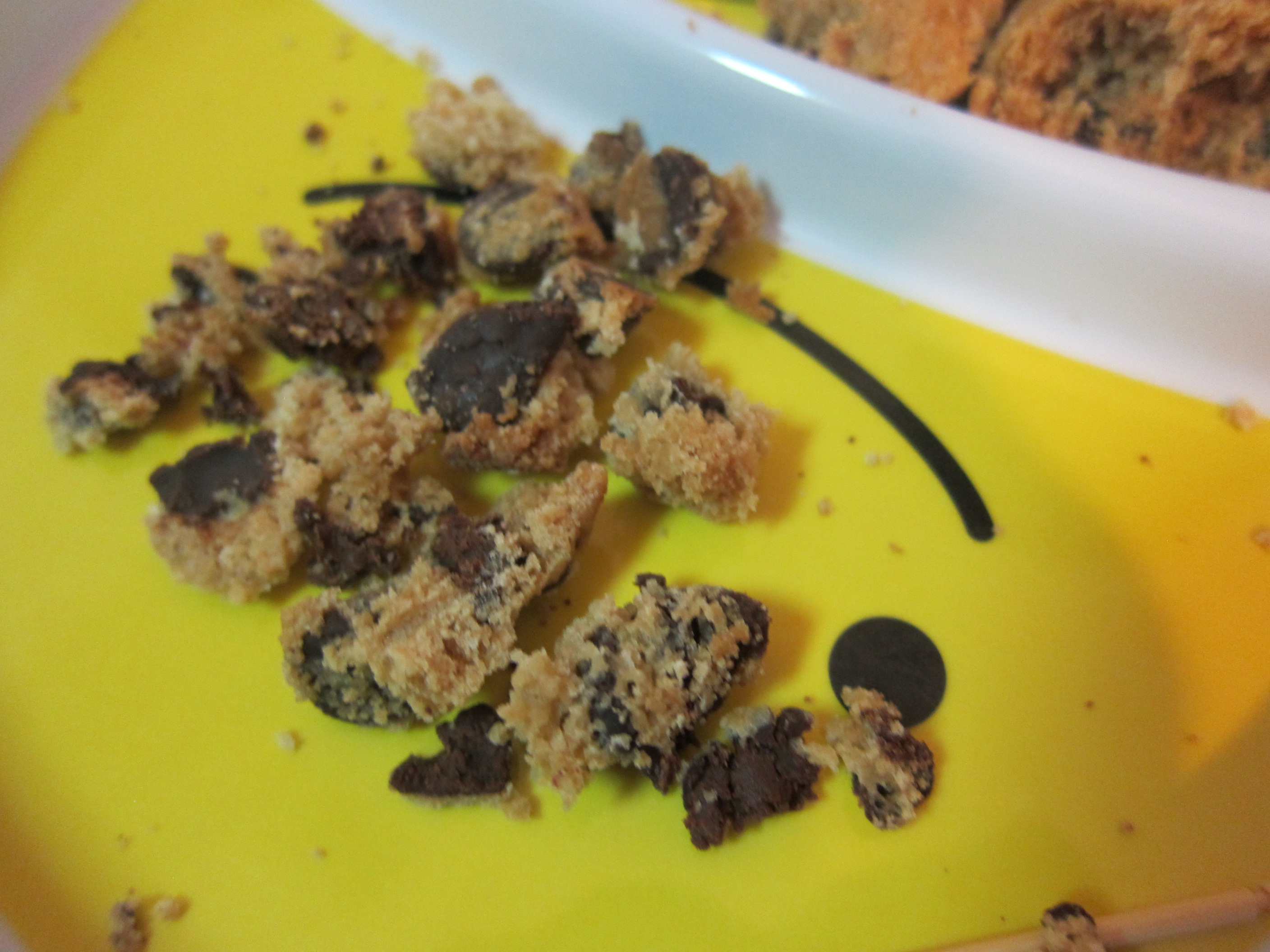 Chocolate Chip Cookie Fossil Dig! – joyful parenting