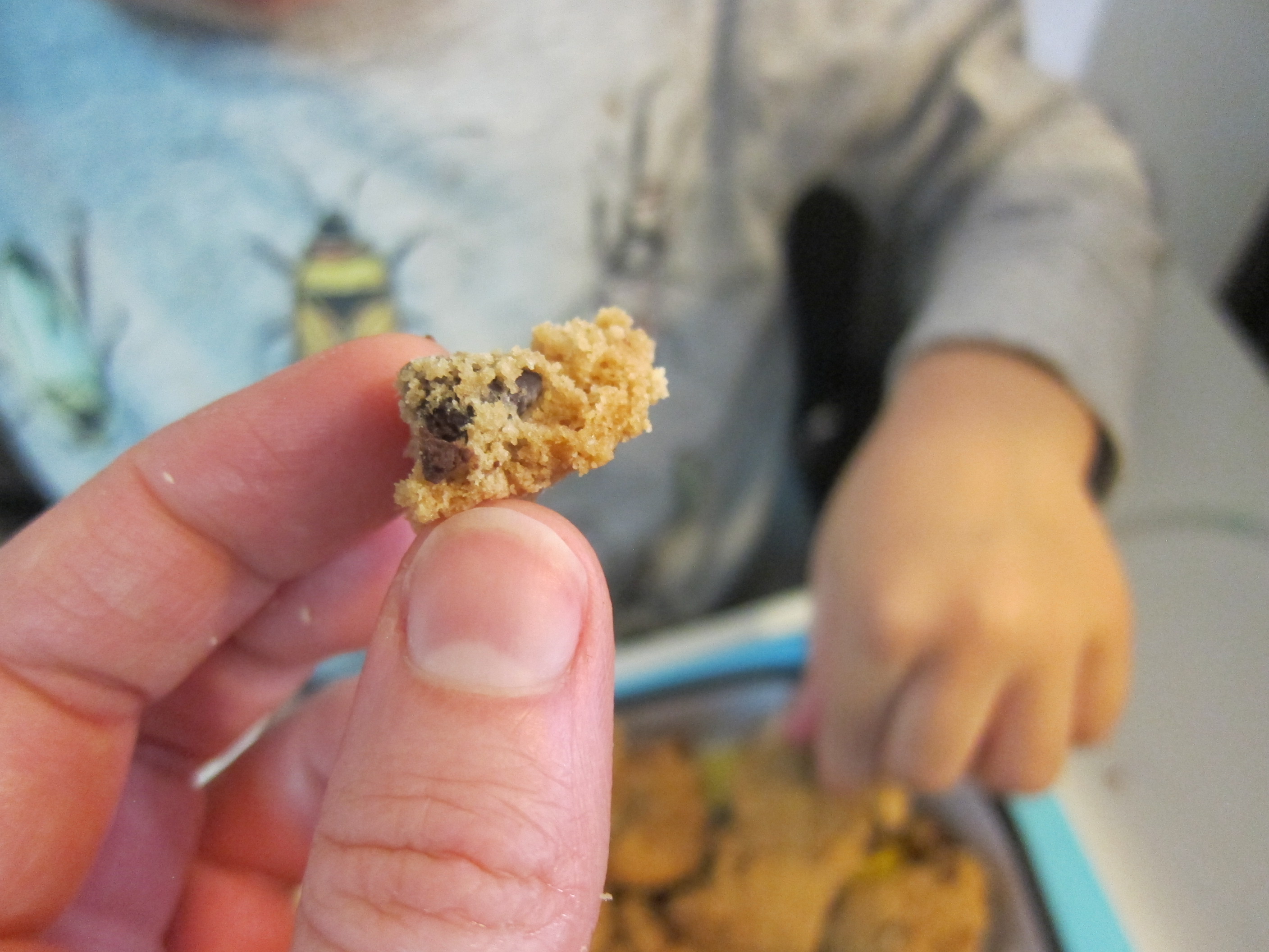 Chocolate Chip Cookie Fossil Dig! – joyful parenting