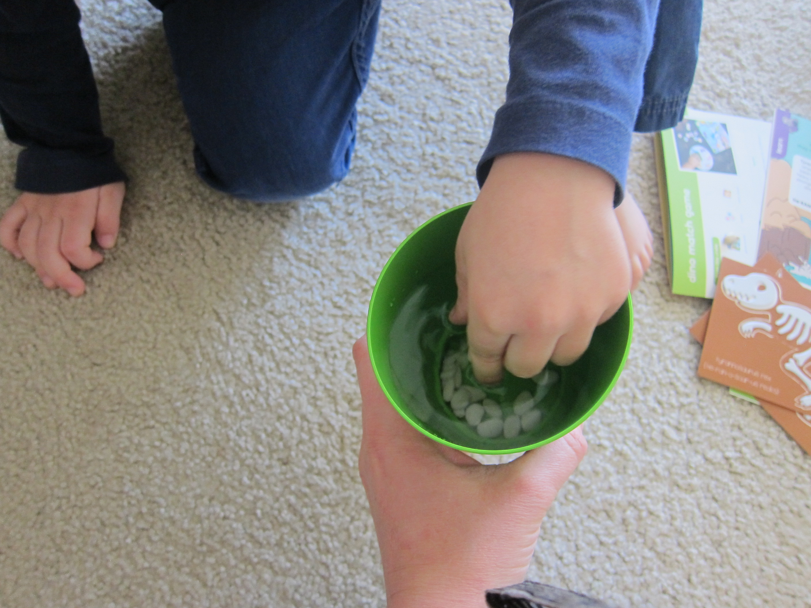 Exploring Seeds – joyful parenting