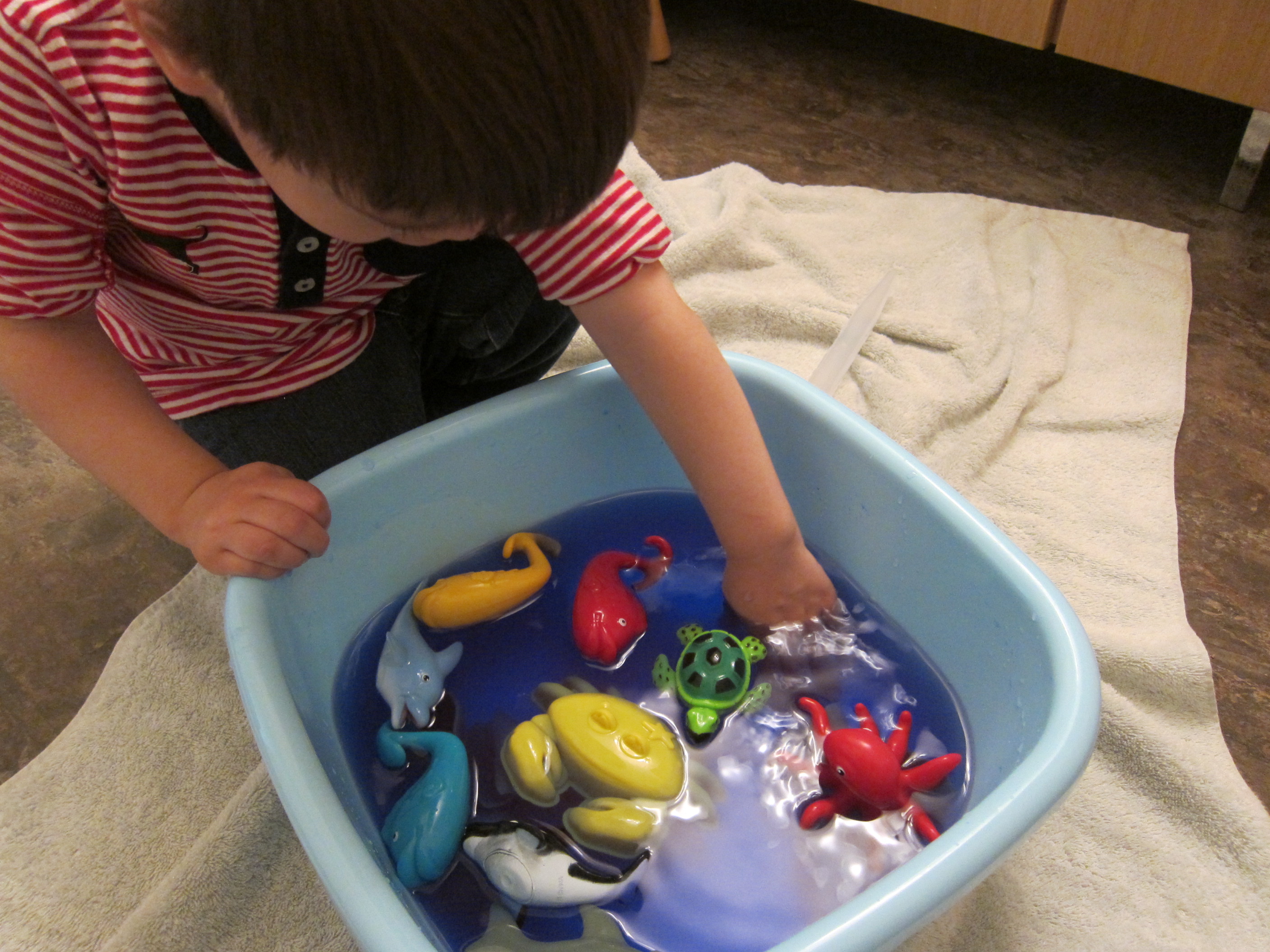 Ocean Sensory Tray – joyful parenting