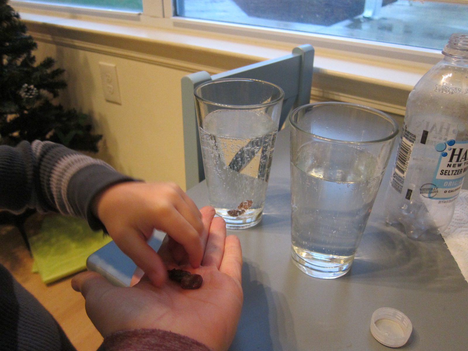 Dancing Raisins – joyful parenting