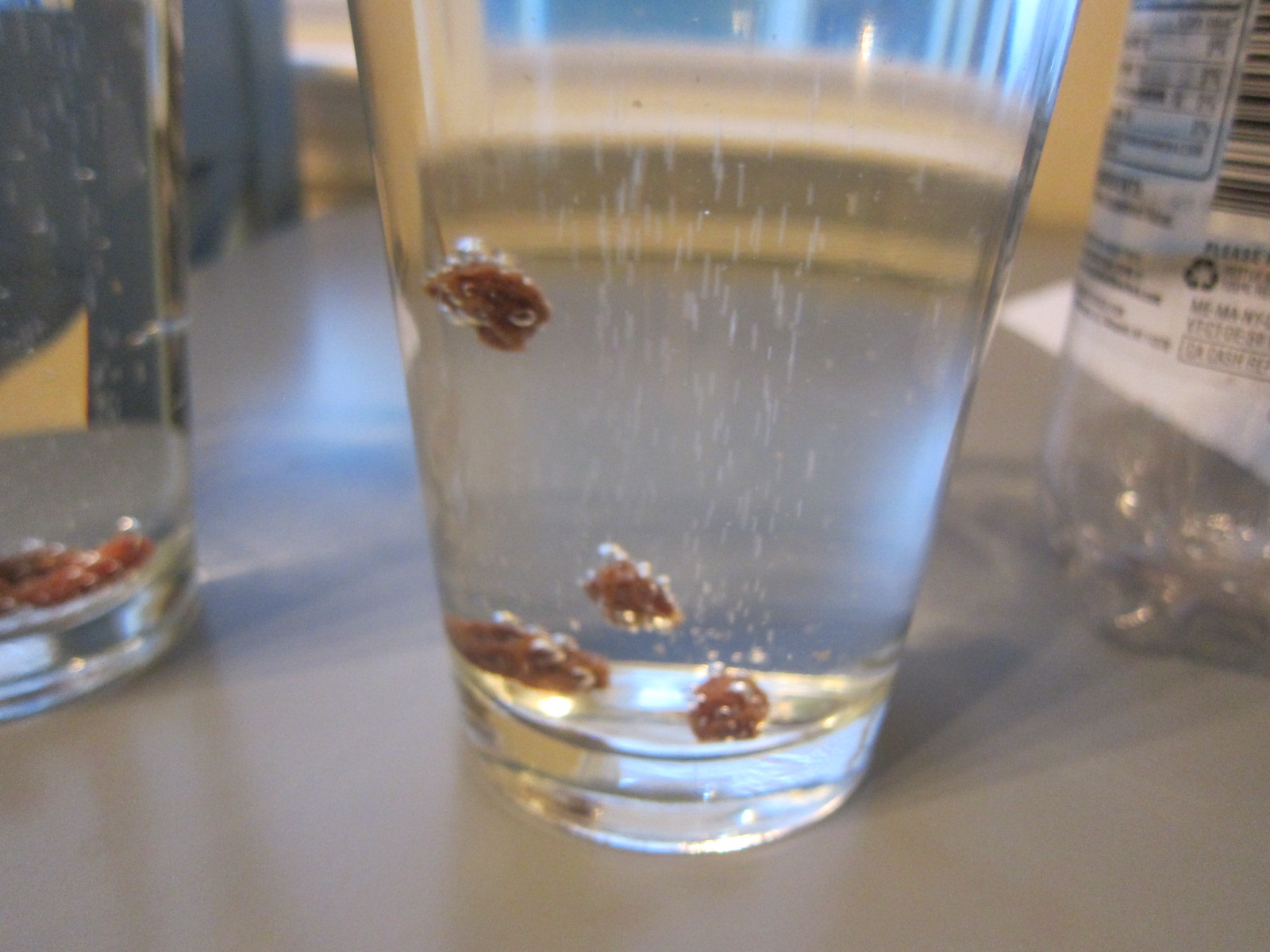 Dancing Raisins – joyful parenting