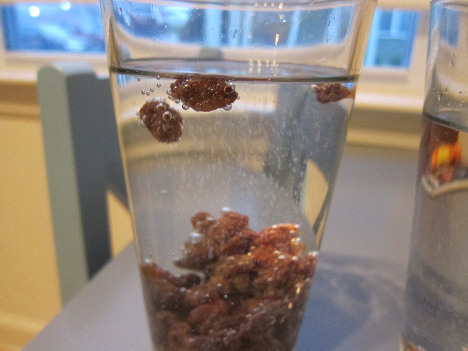 Dancing Raisins – joyful parenting