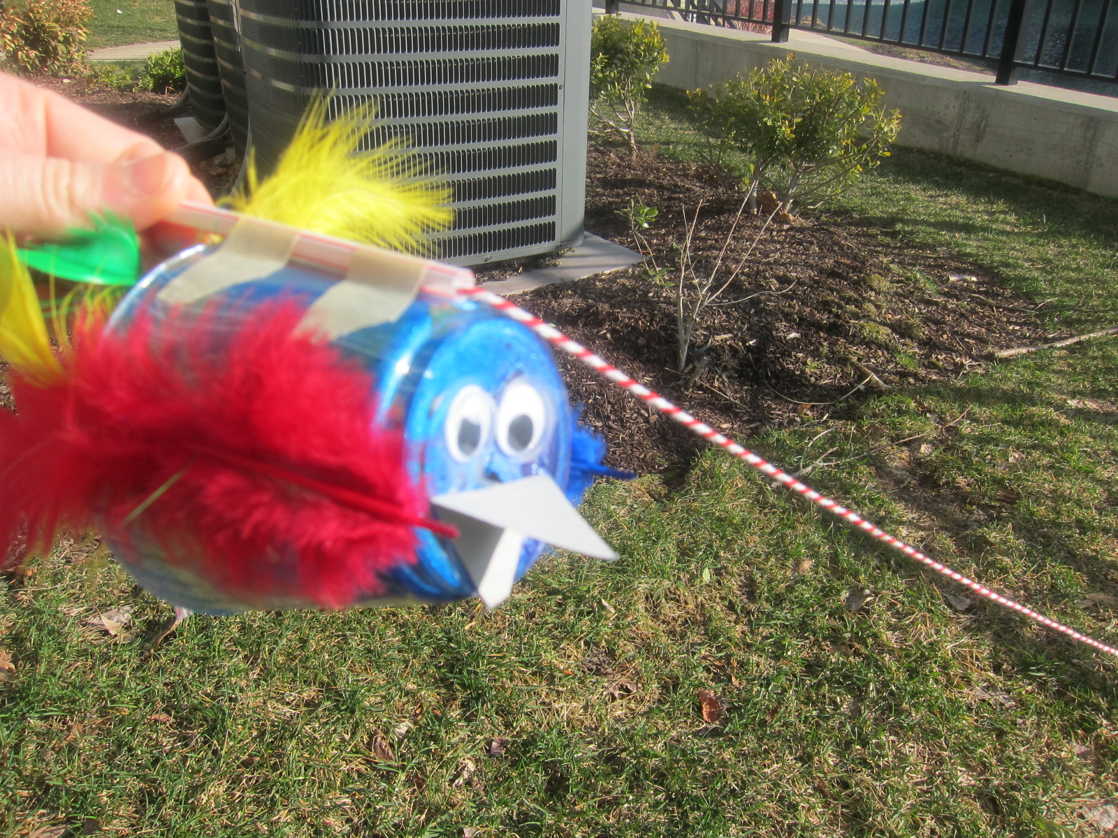 Bird Puppets for Racing – joyful parenting