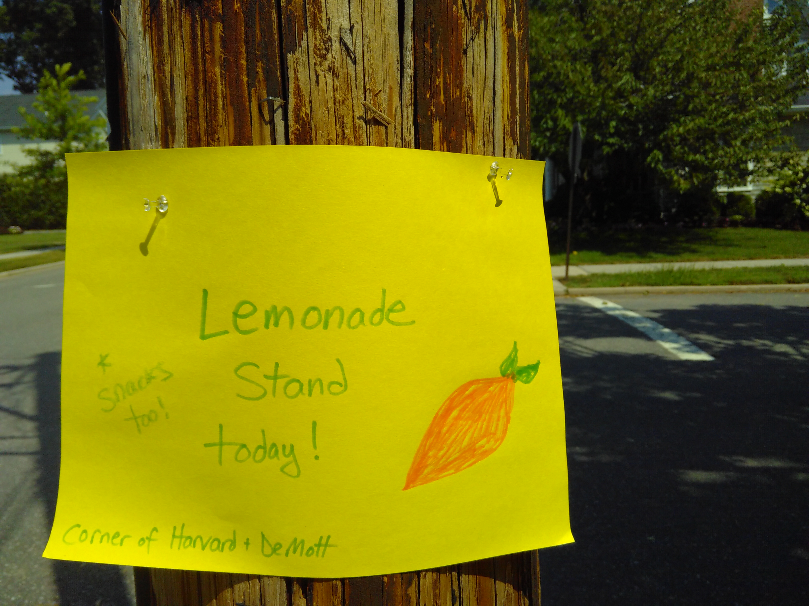 Ultimate Lemonade Stand – joyful parenting