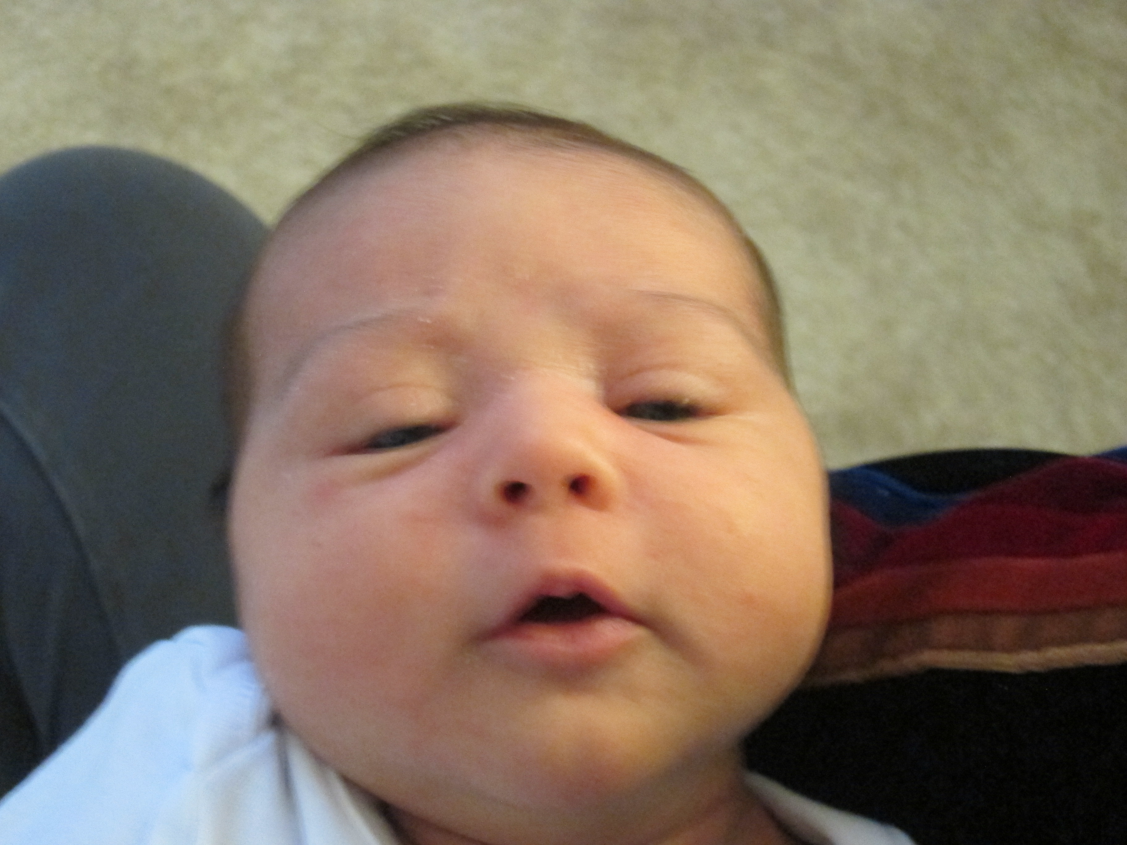 Develop the Gaze – joyful parenting