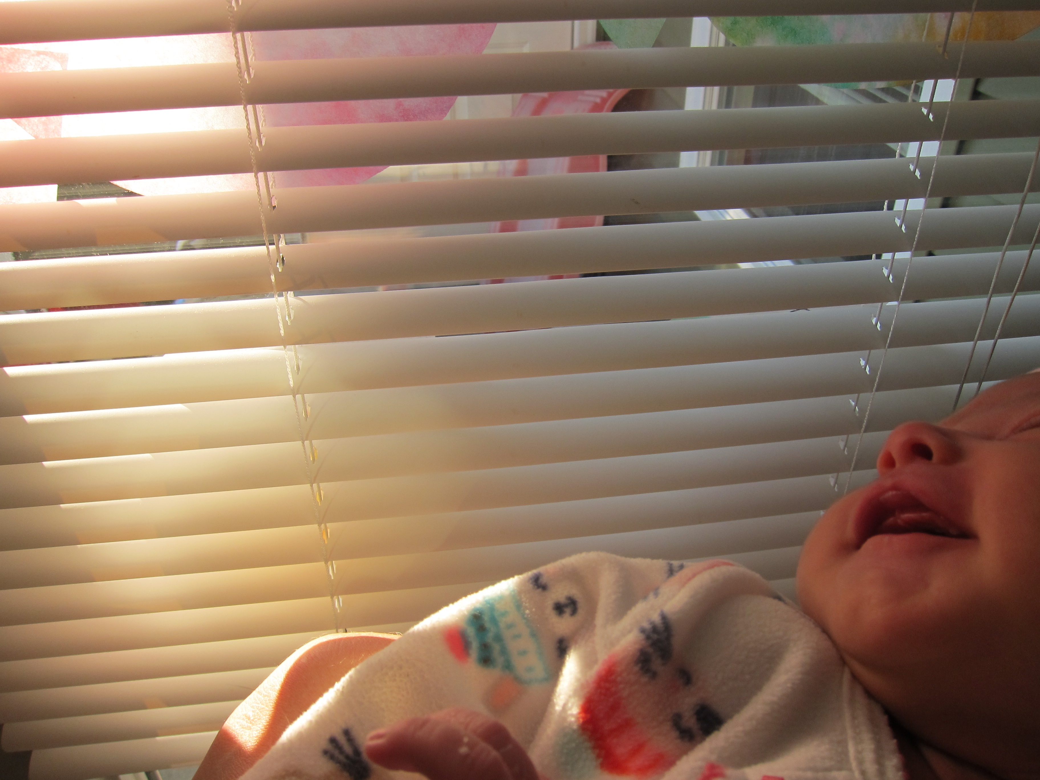 Light and Shade – joyful parenting