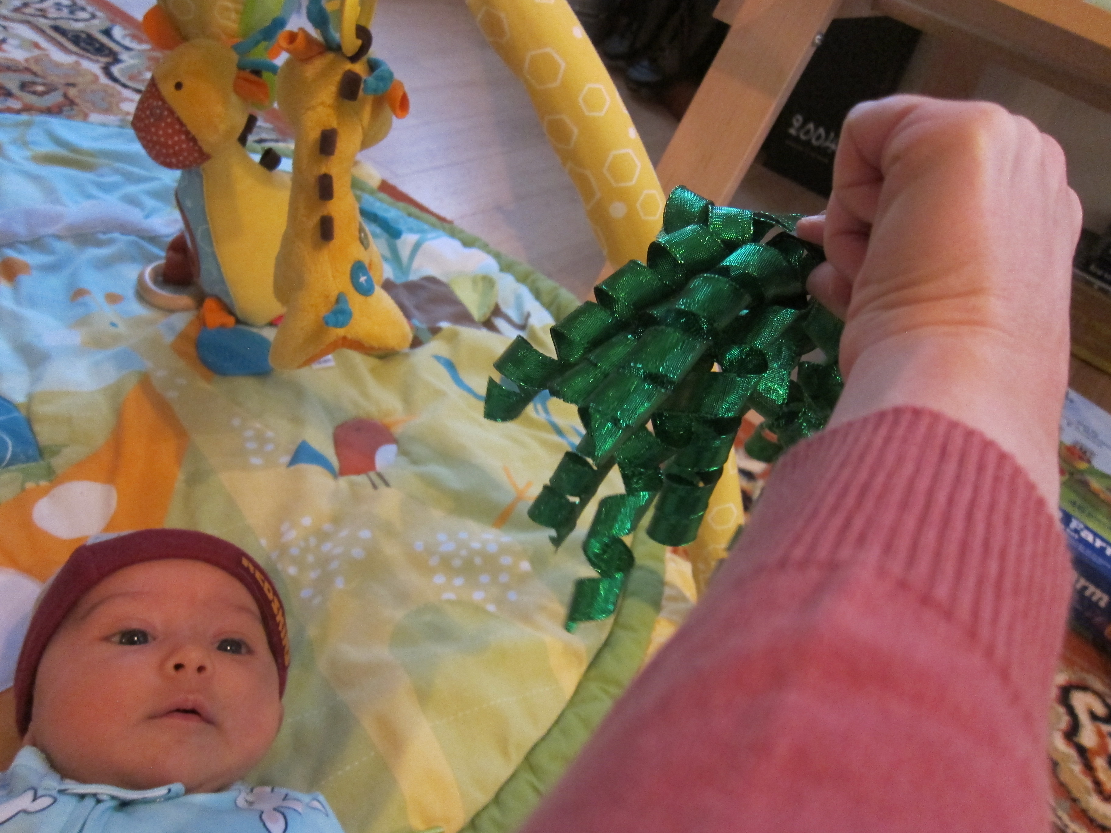 Tracking Toys – joyful parenting