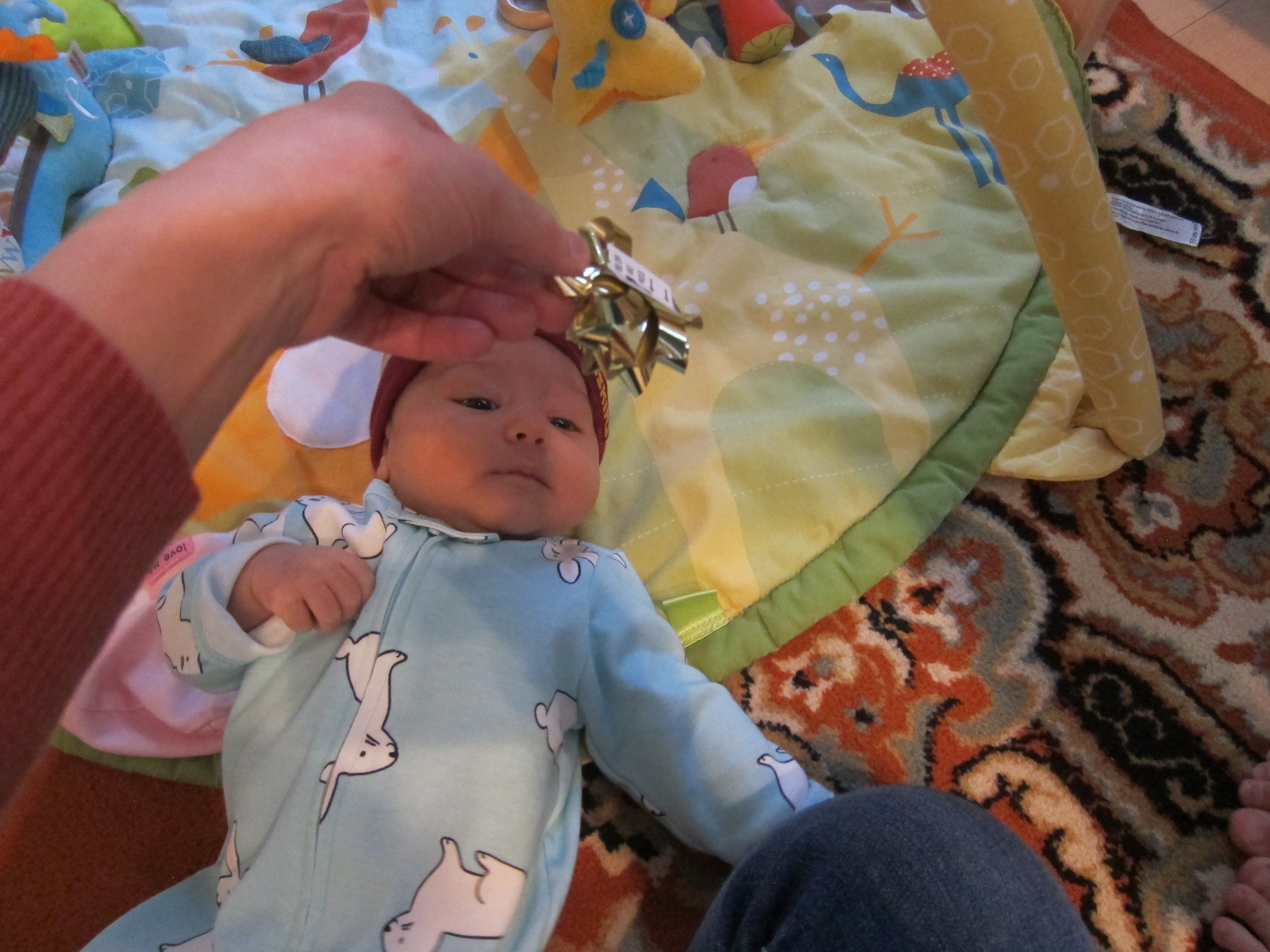 Tracking Toys – joyful parenting