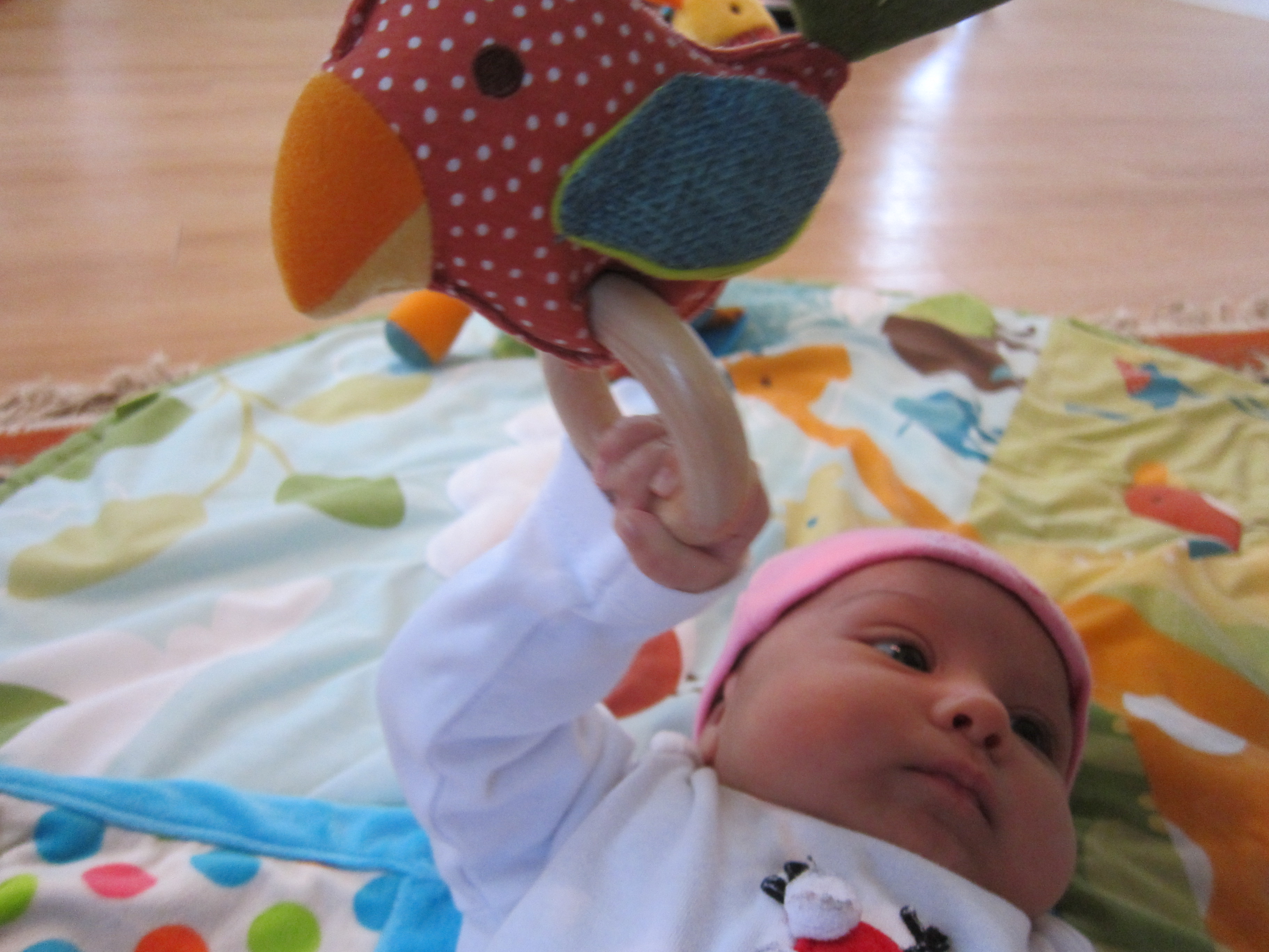 Tracking Toys – joyful parenting