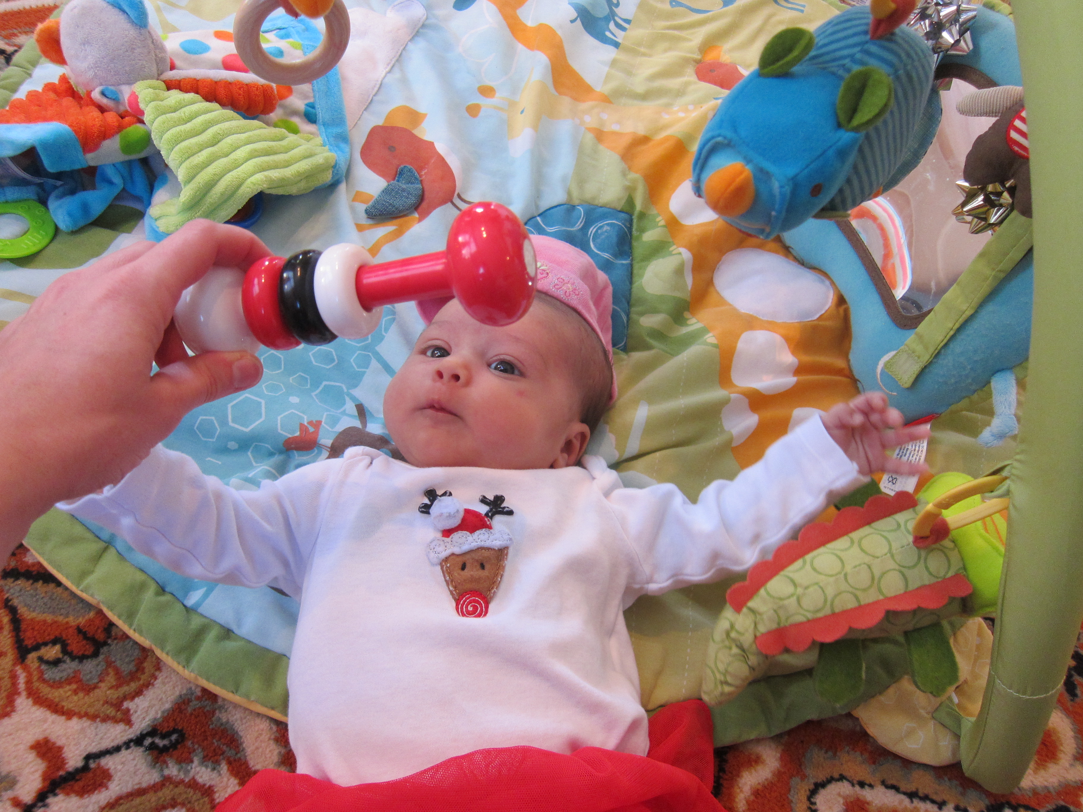 Tracking Toys – joyful parenting