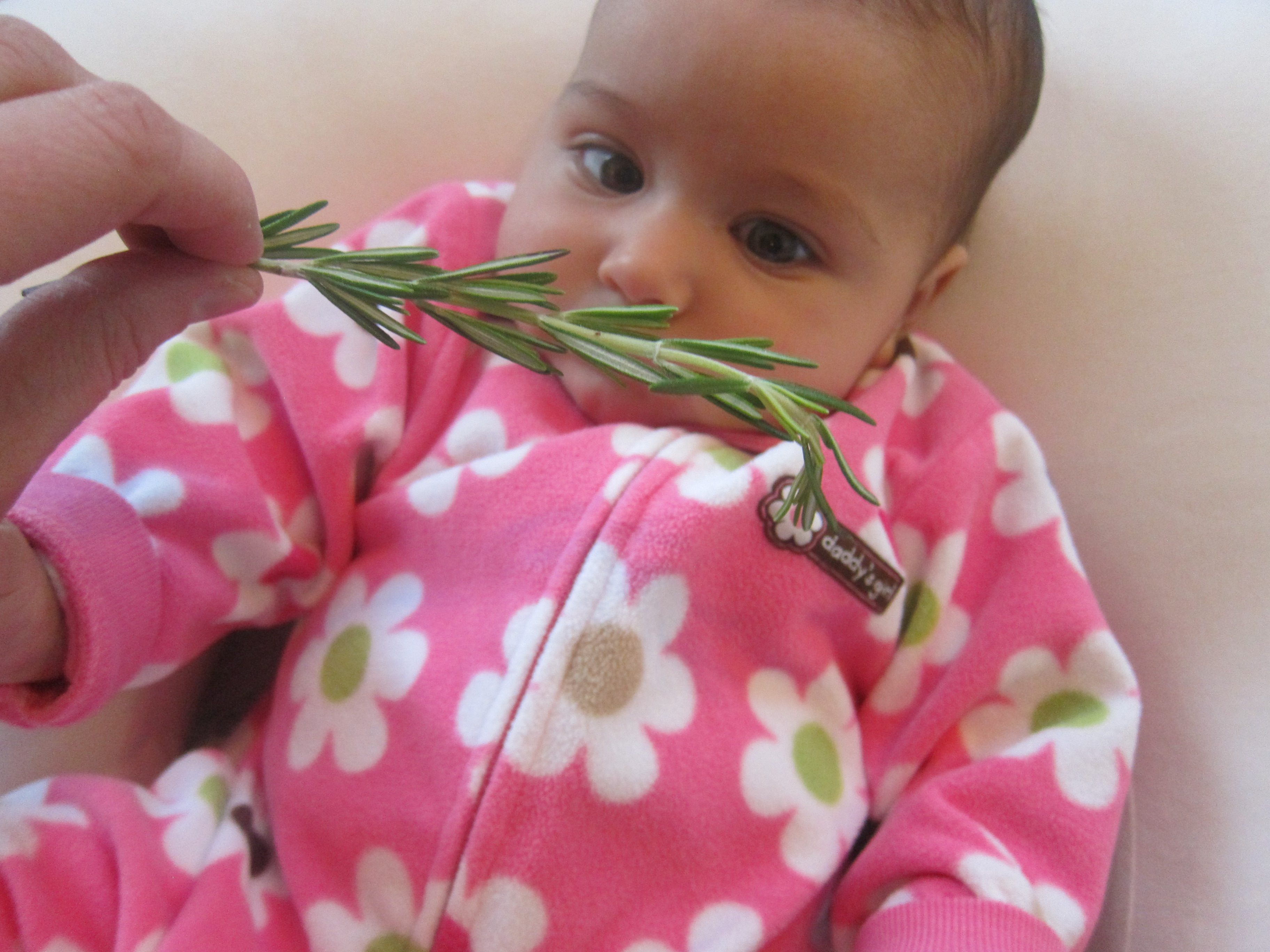 Smell New Scents – joyful parenting