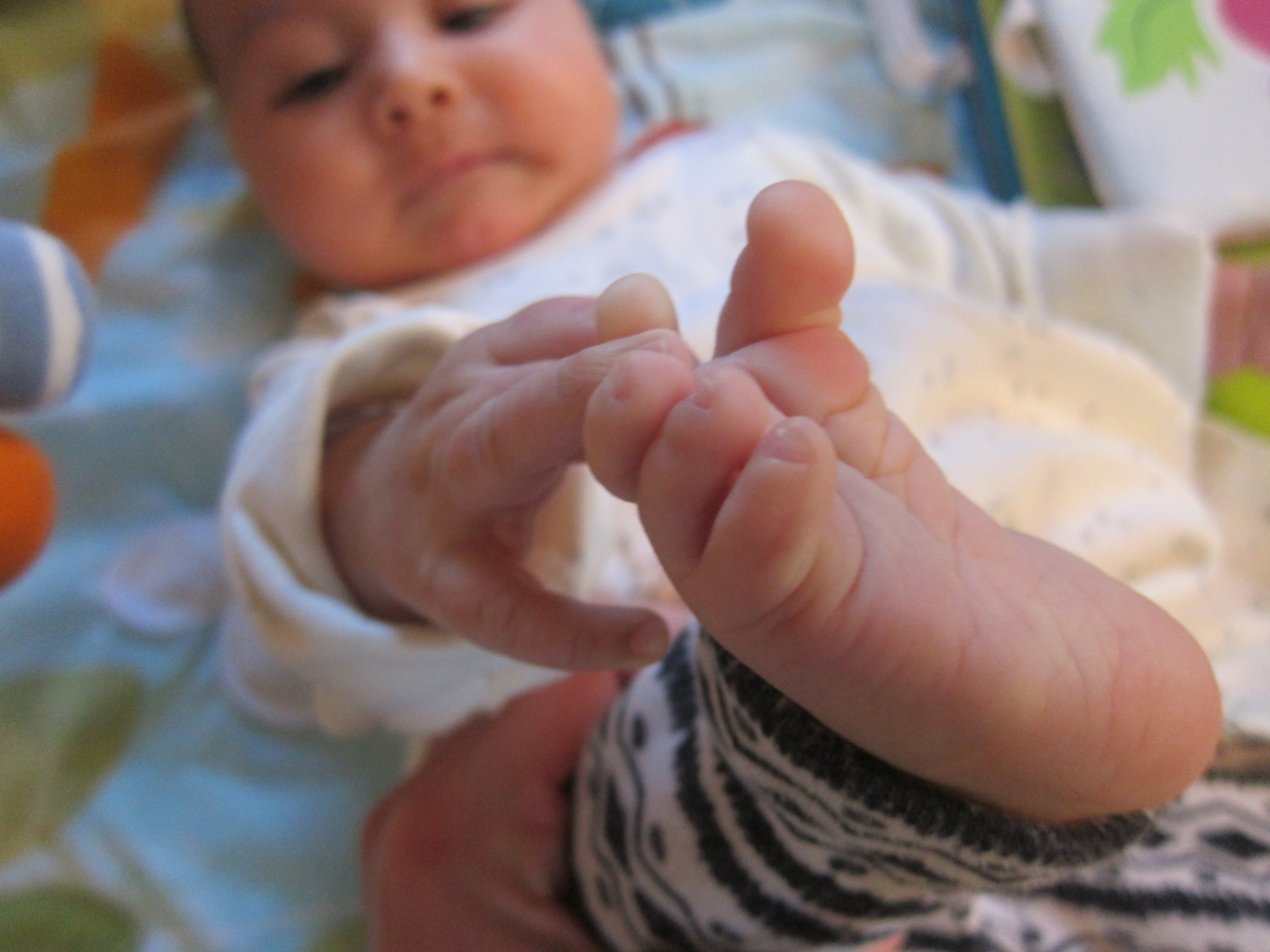 Tasty Toes – joyful parenting