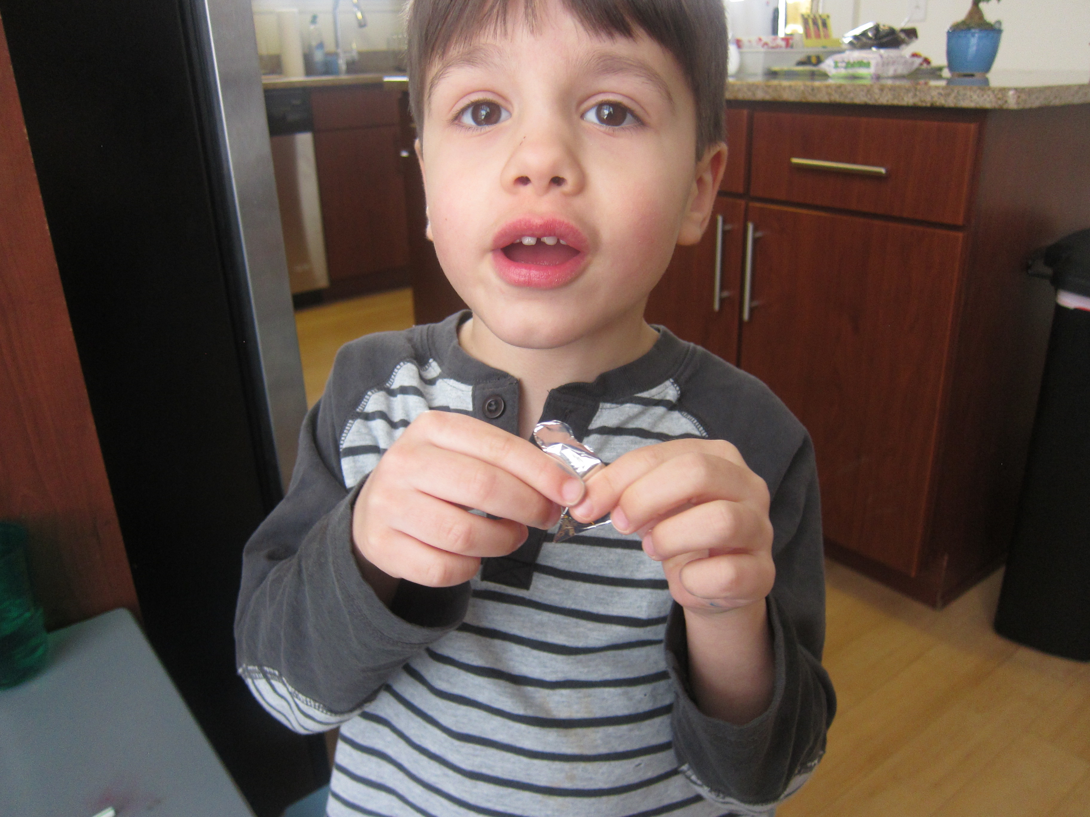 Cartesian Diver – joyful parenting
