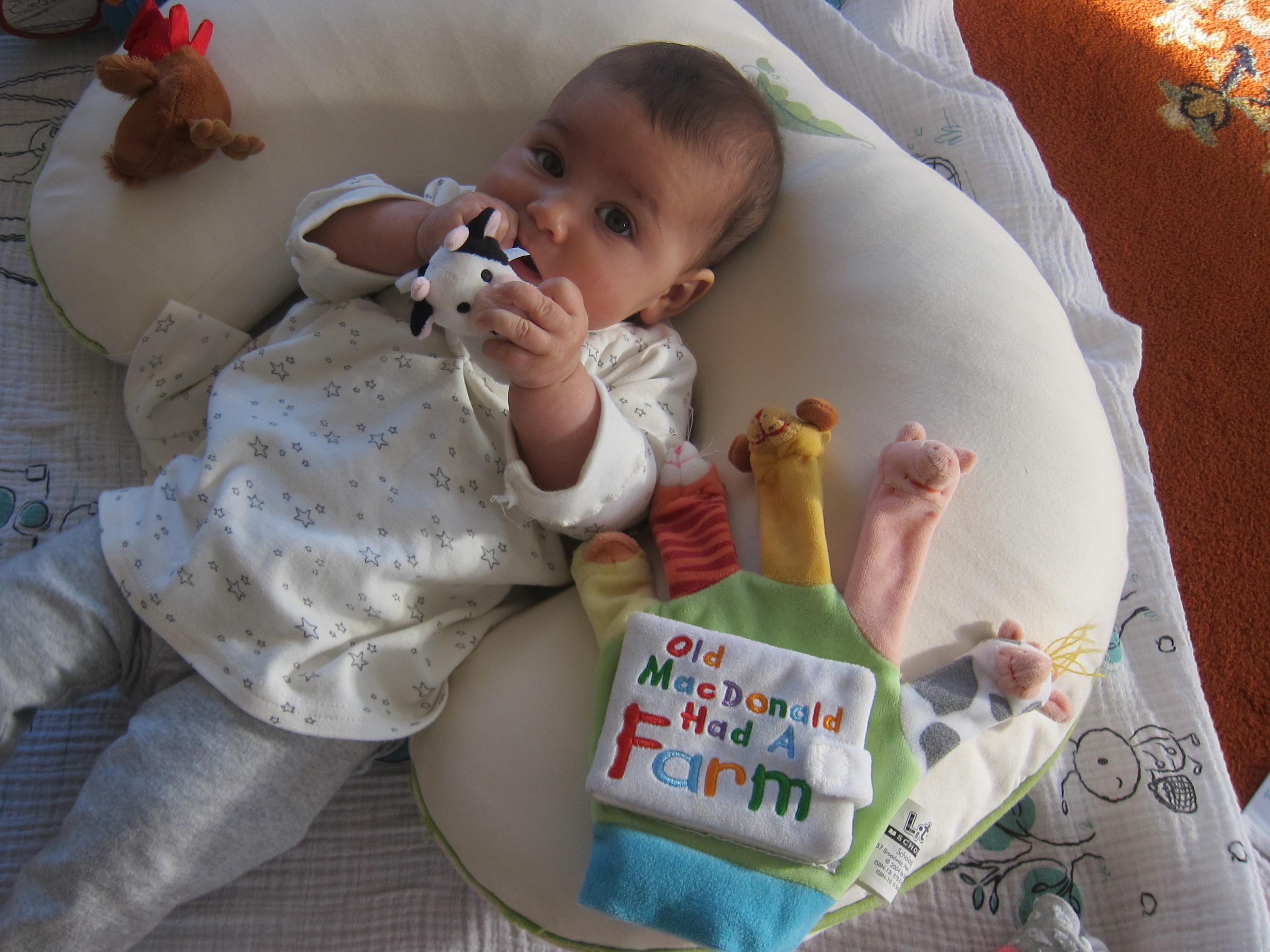 Meet the Animals – joyful parenting
