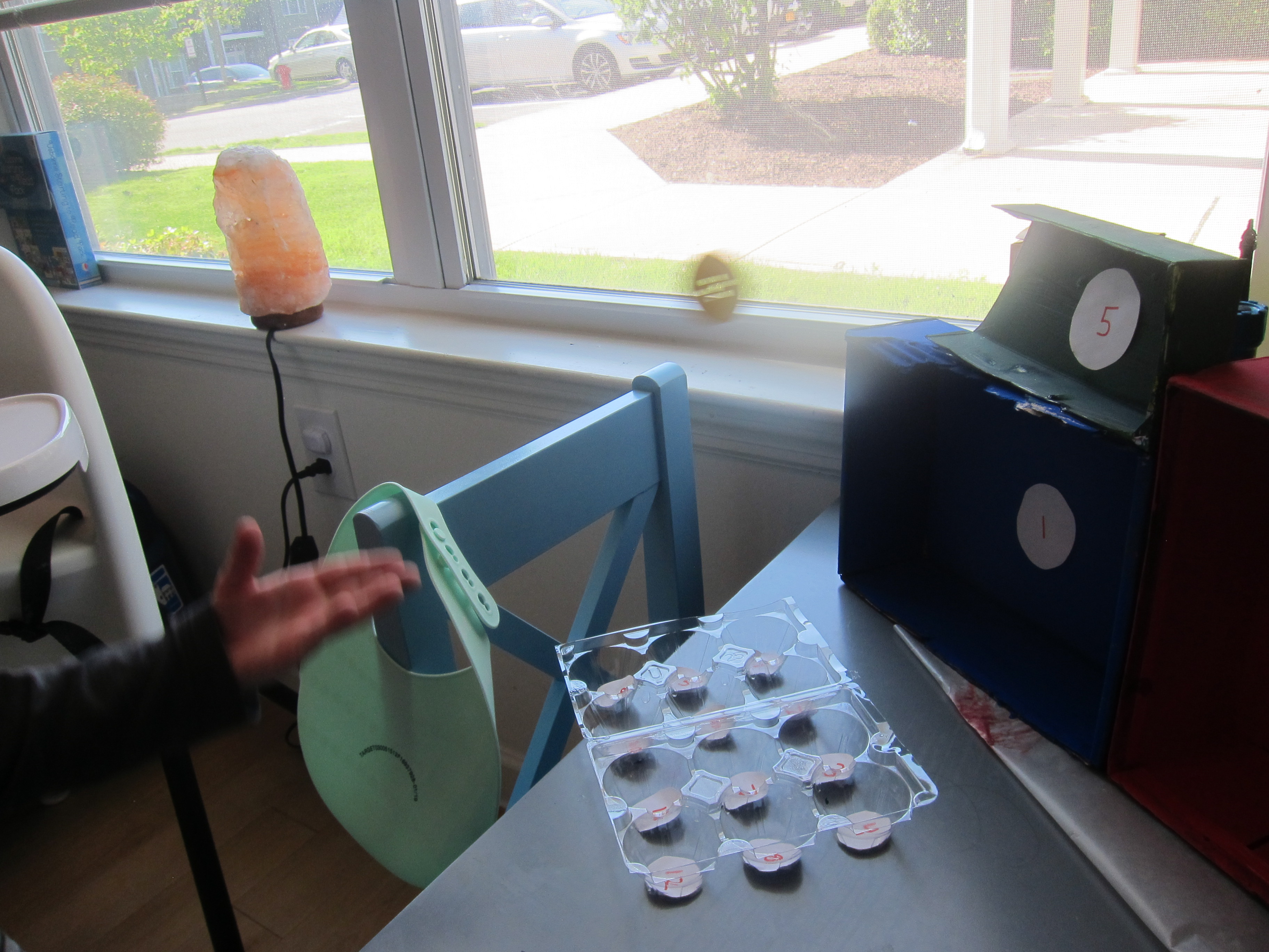 Button Toss – joyful parenting
