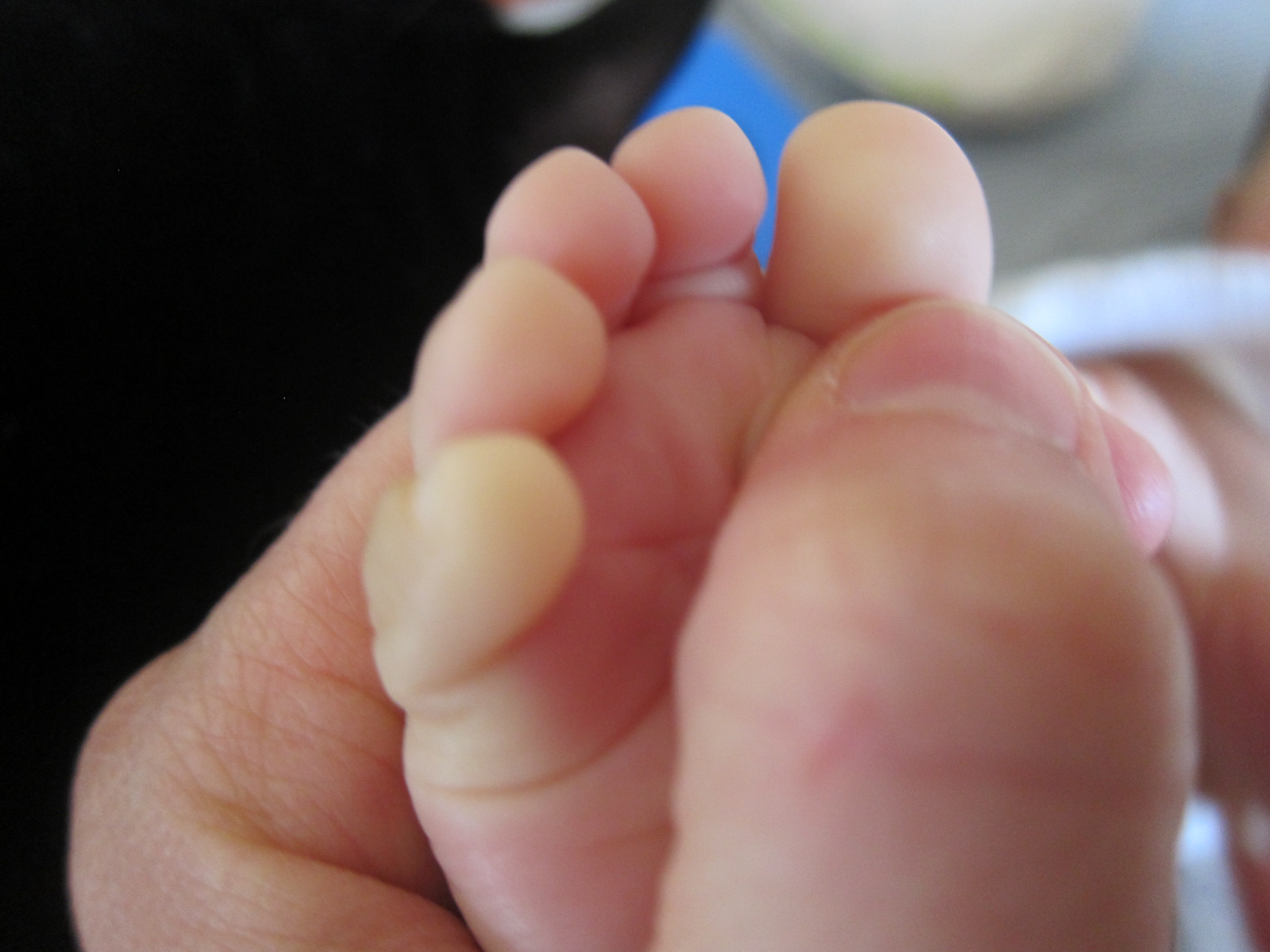 More Piggy Toes – joyful parenting
