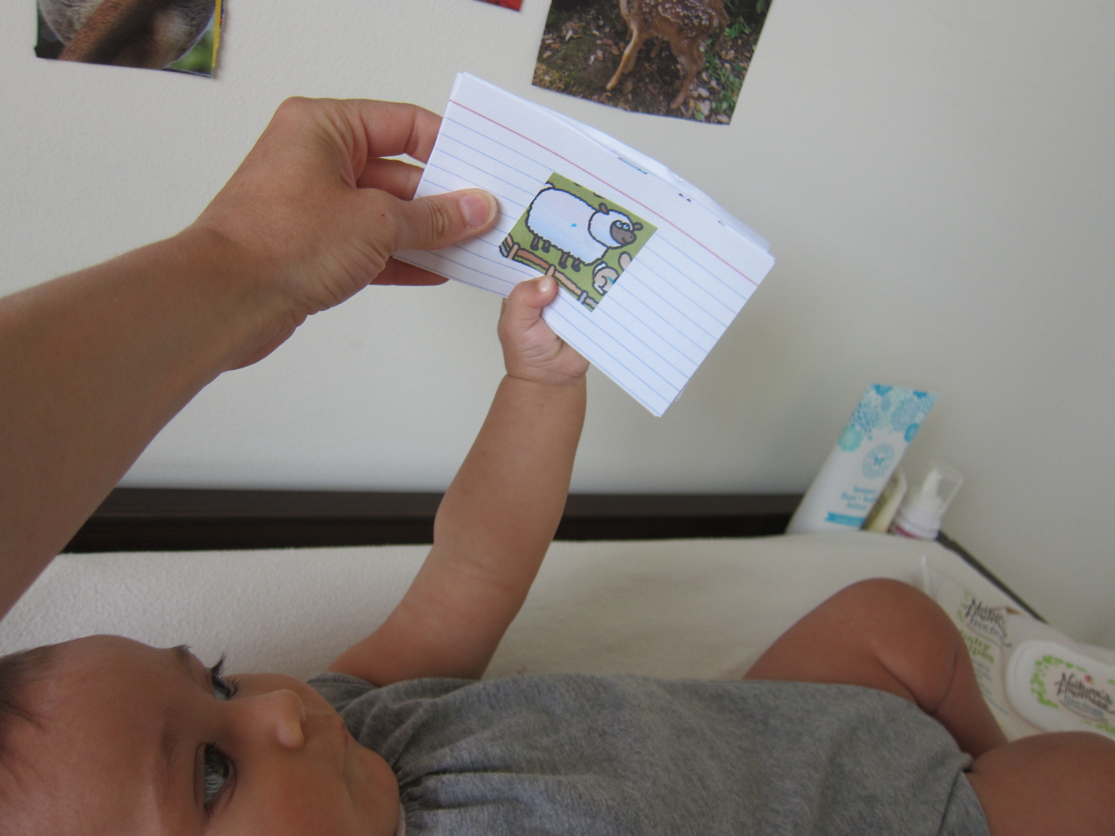 Animal Diaper Time – joyful parenting