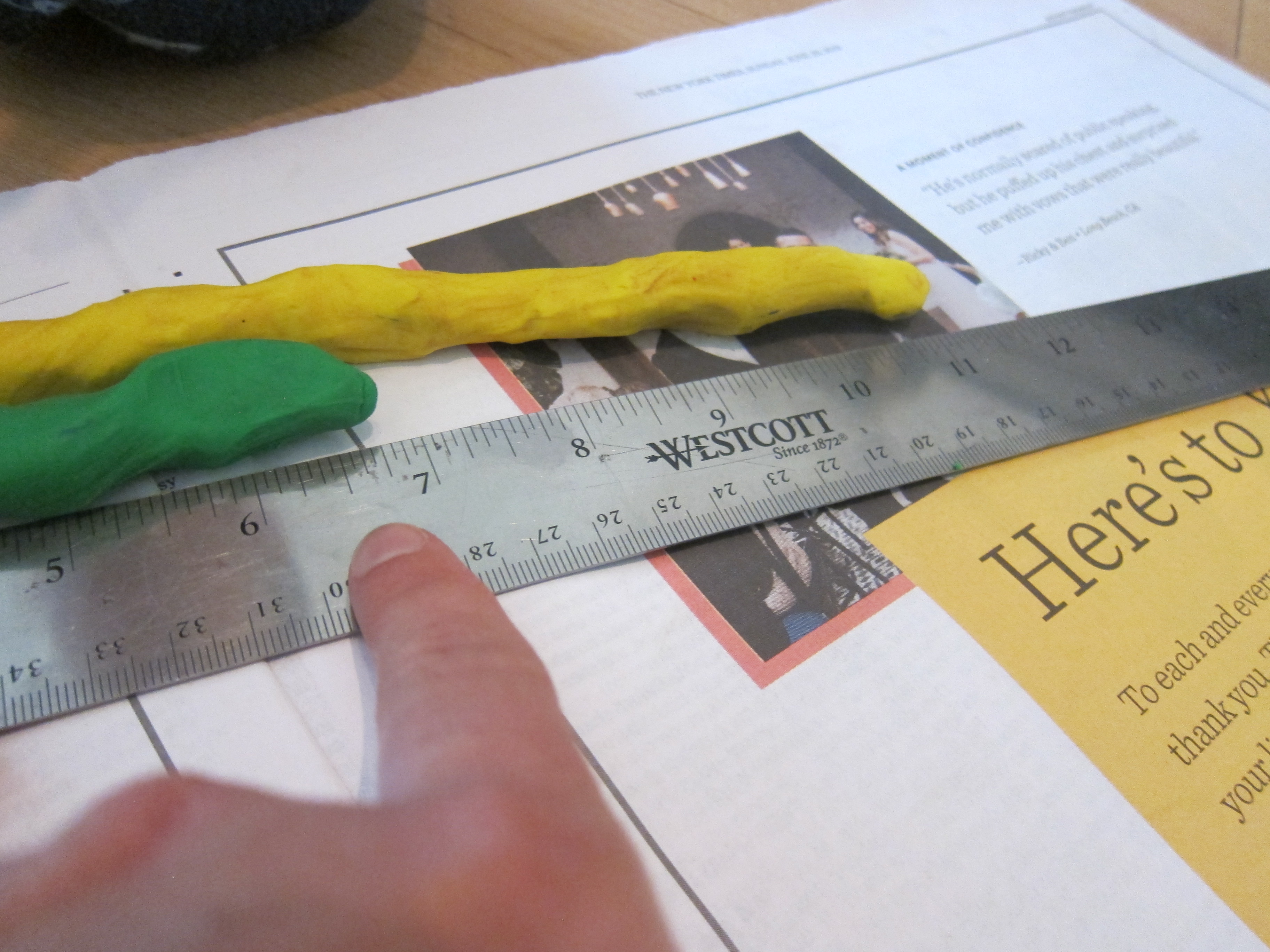 Snake Lengths – joyful parenting