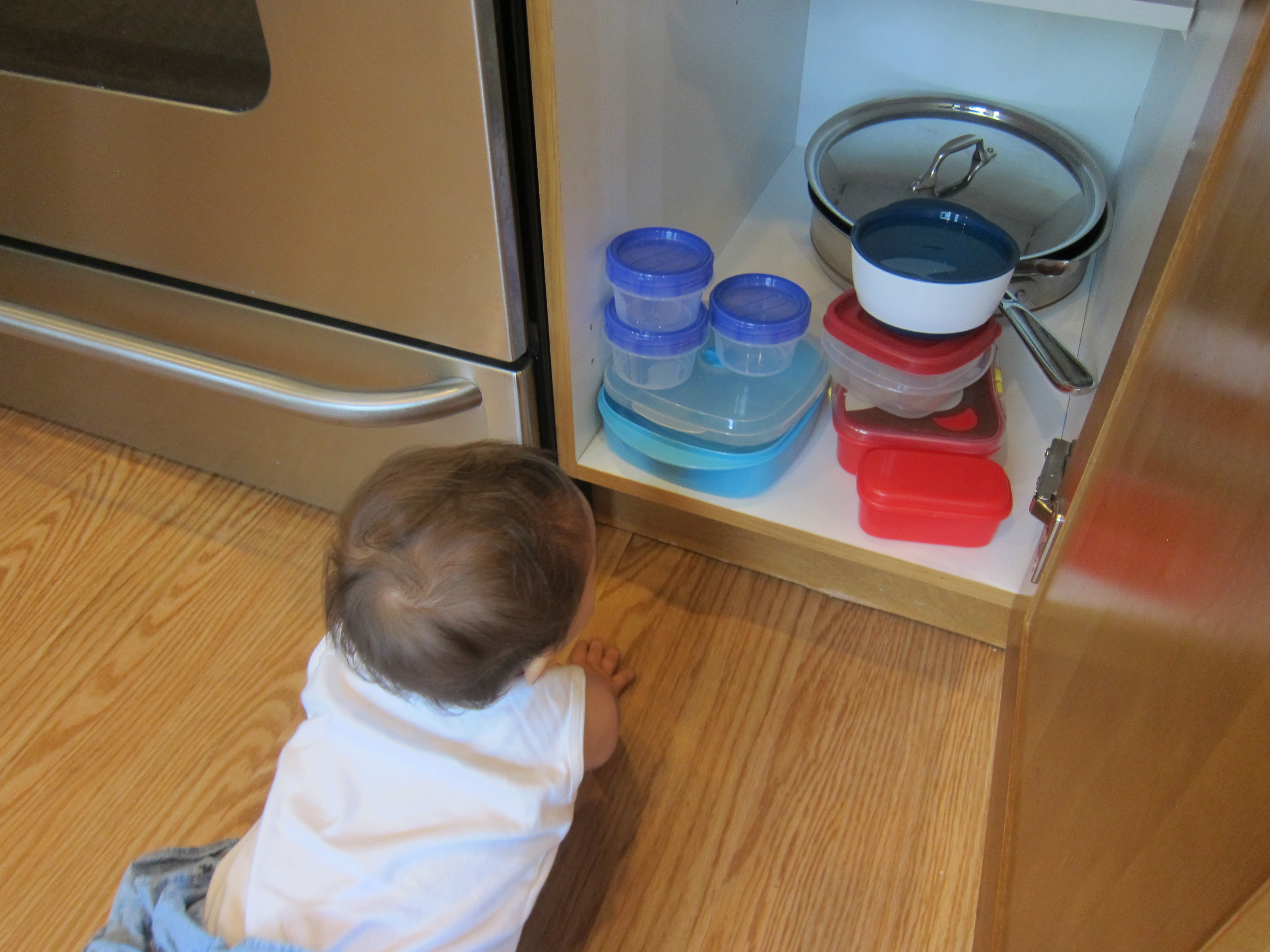 Rearrange Your Kitchen Cupboards – joyful parenting