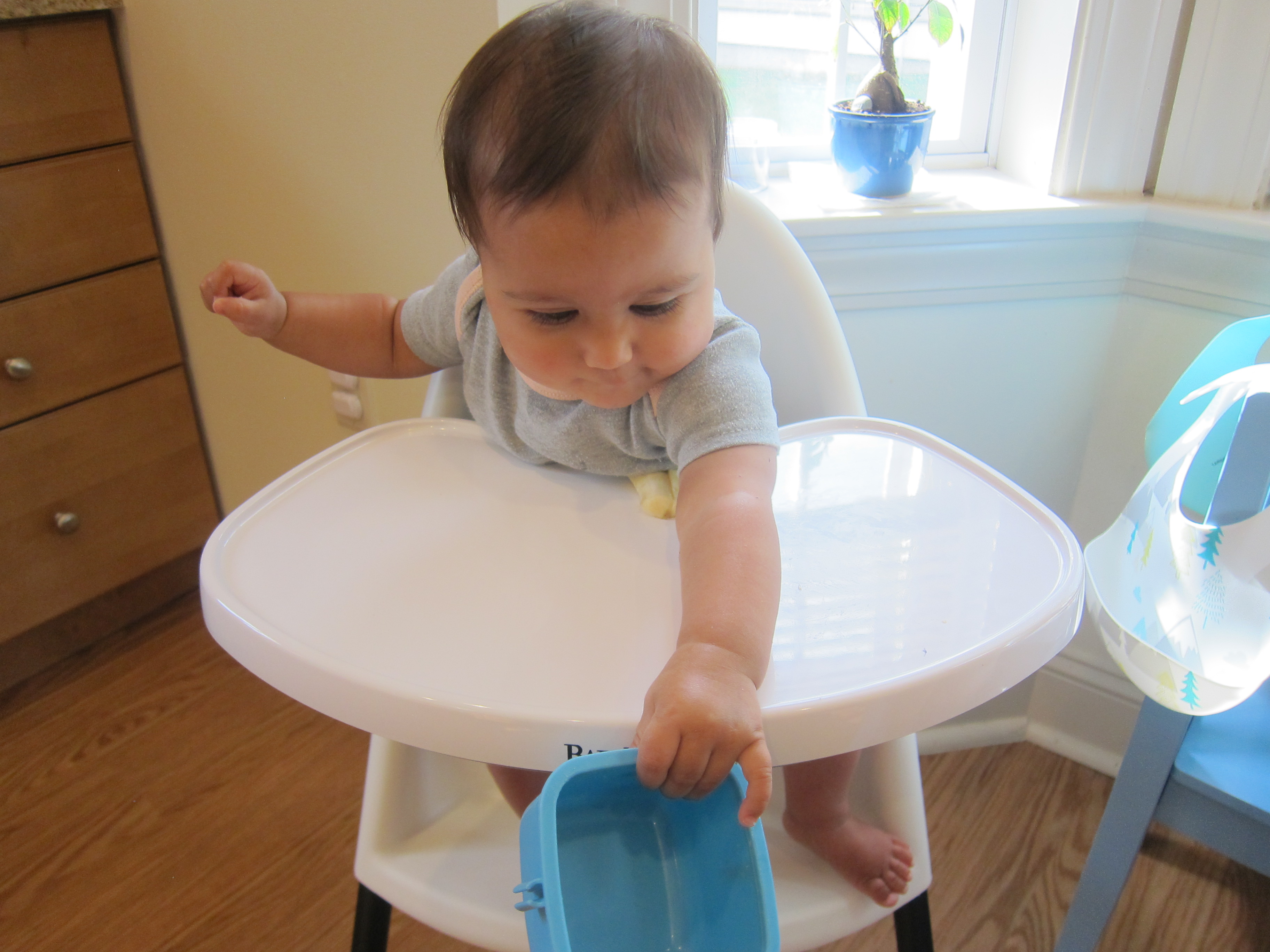 Dropping Objects – joyful parenting