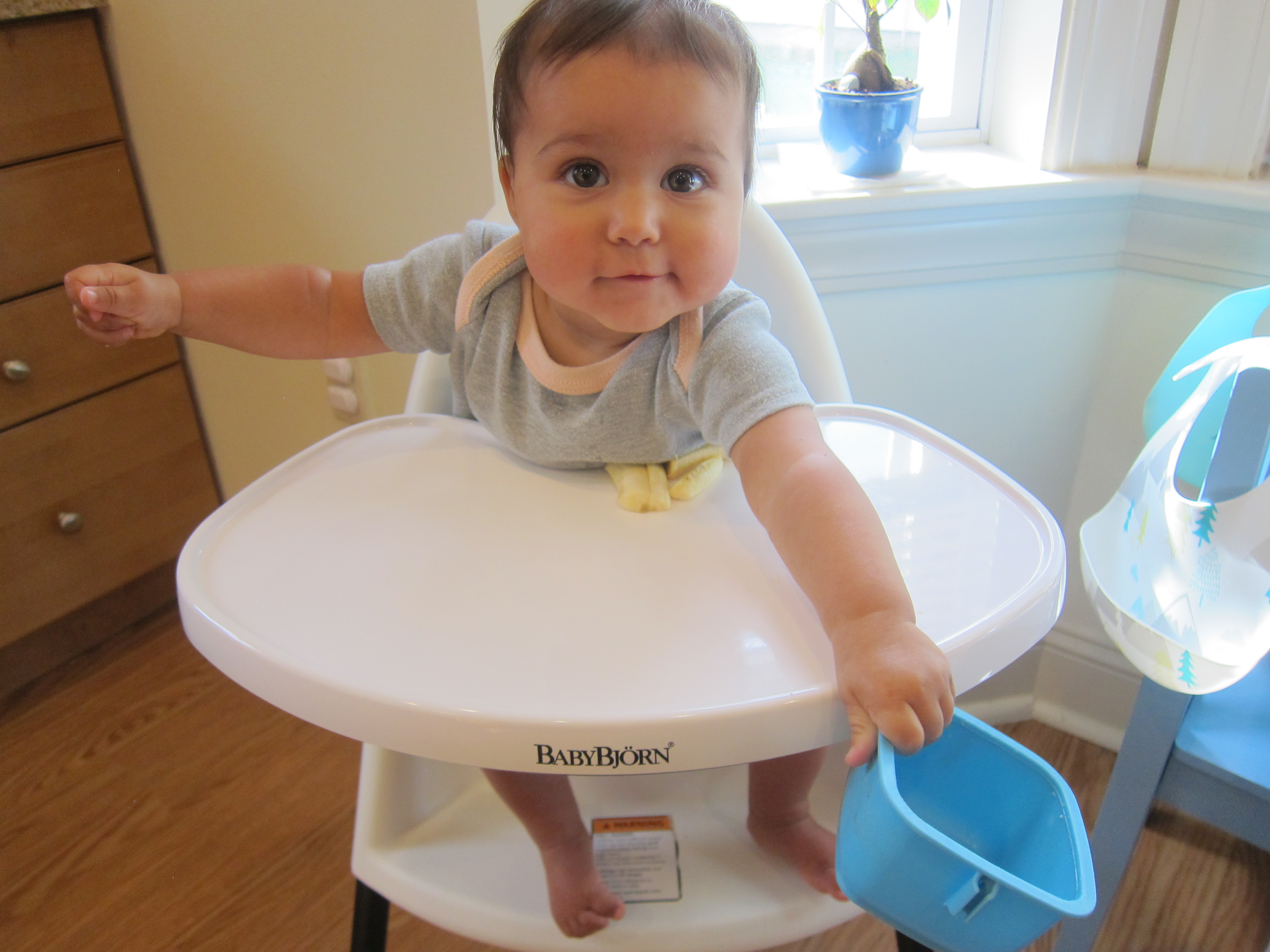 Dropping Objects – joyful parenting