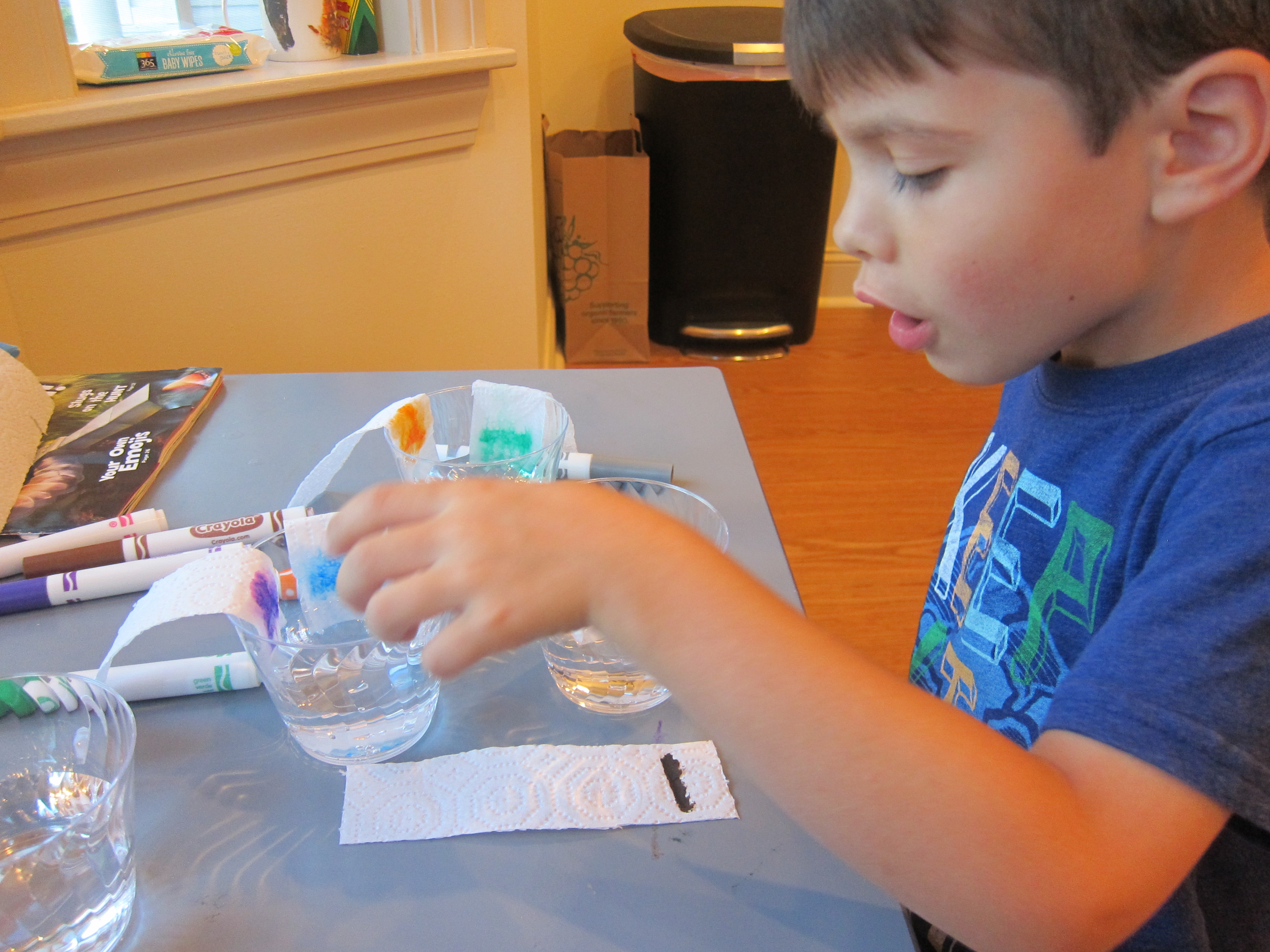 Magic Marker Color Experiment – joyful parenting