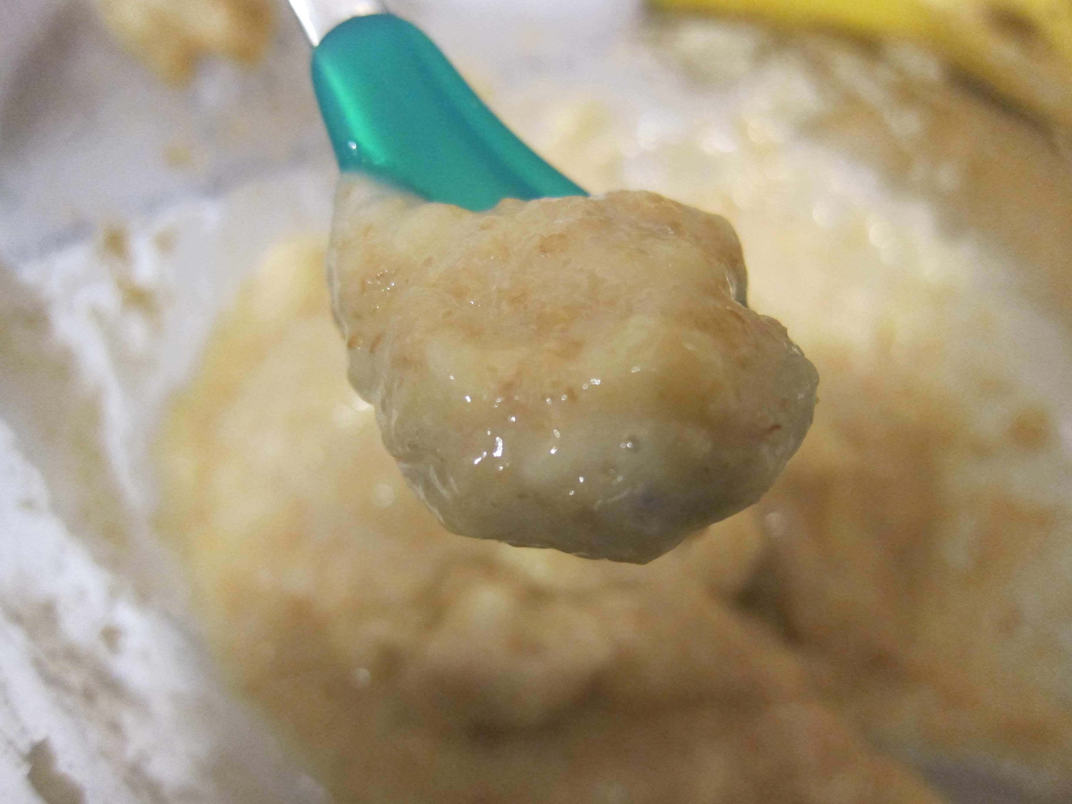 Wheat Germ Breakfast – joyful parenting