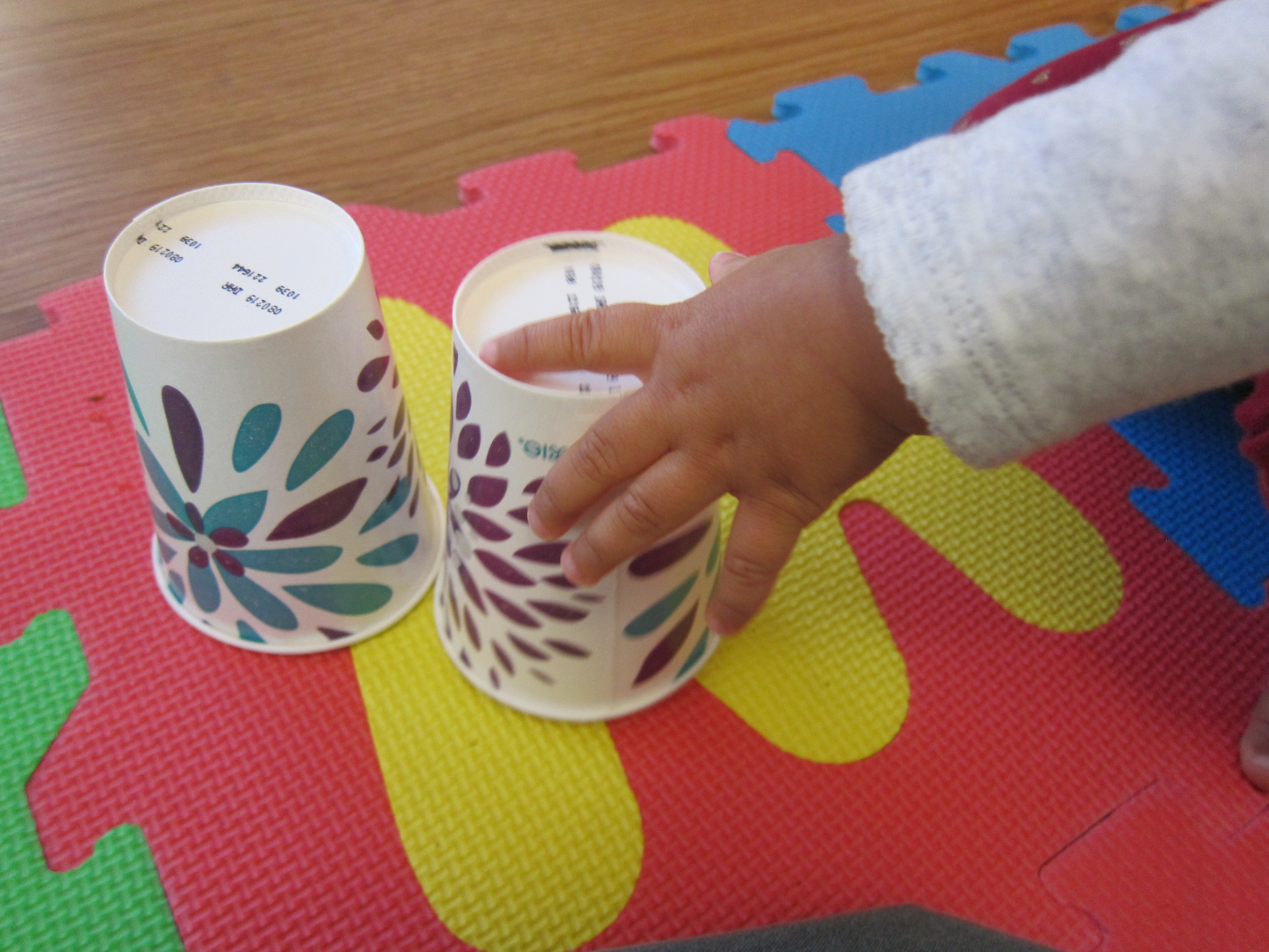 Hide the Ball Memory Game – joyful parenting