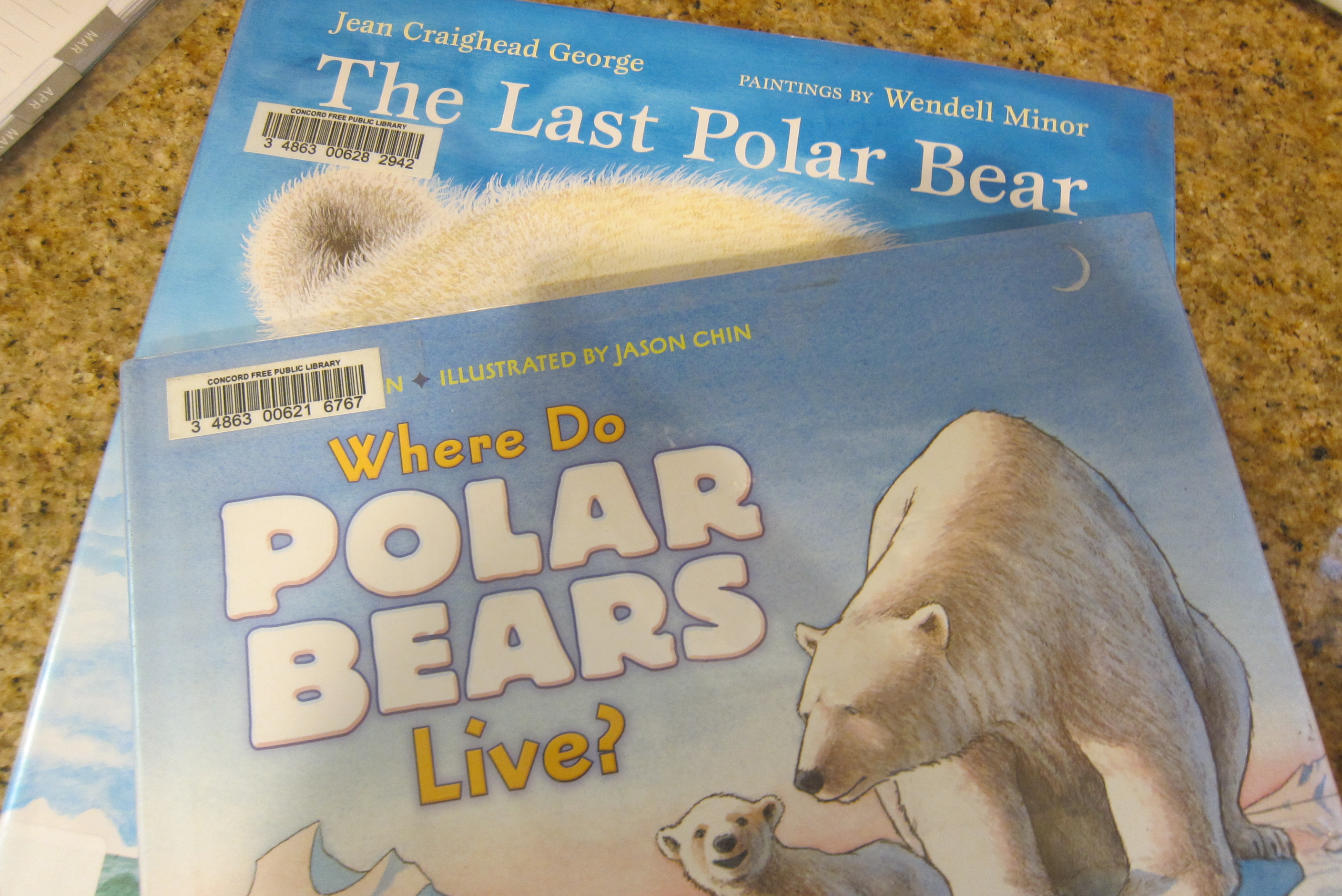 National Polar Bear Day – joyful parenting