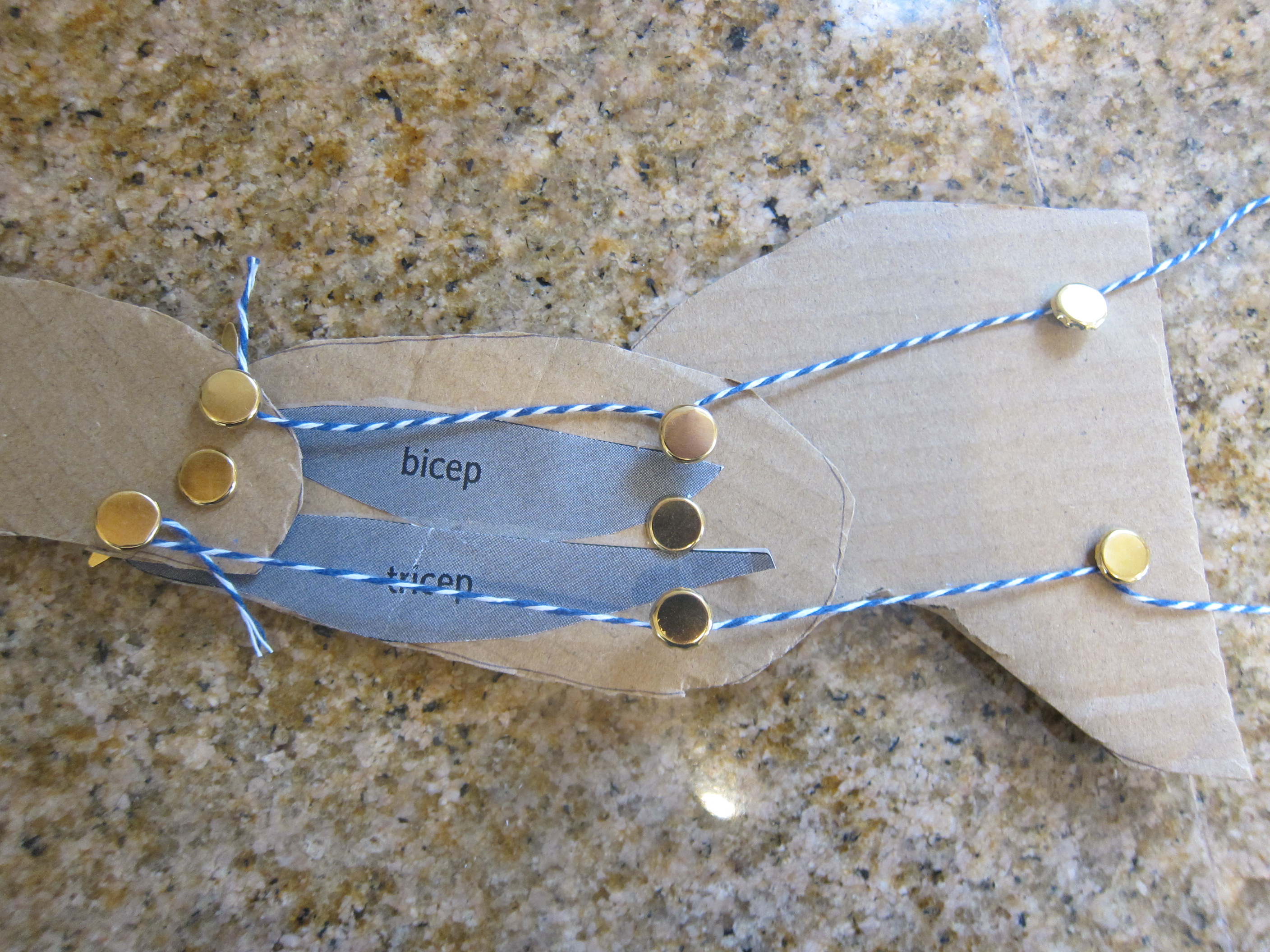 Muscle Machine – joyful parenting