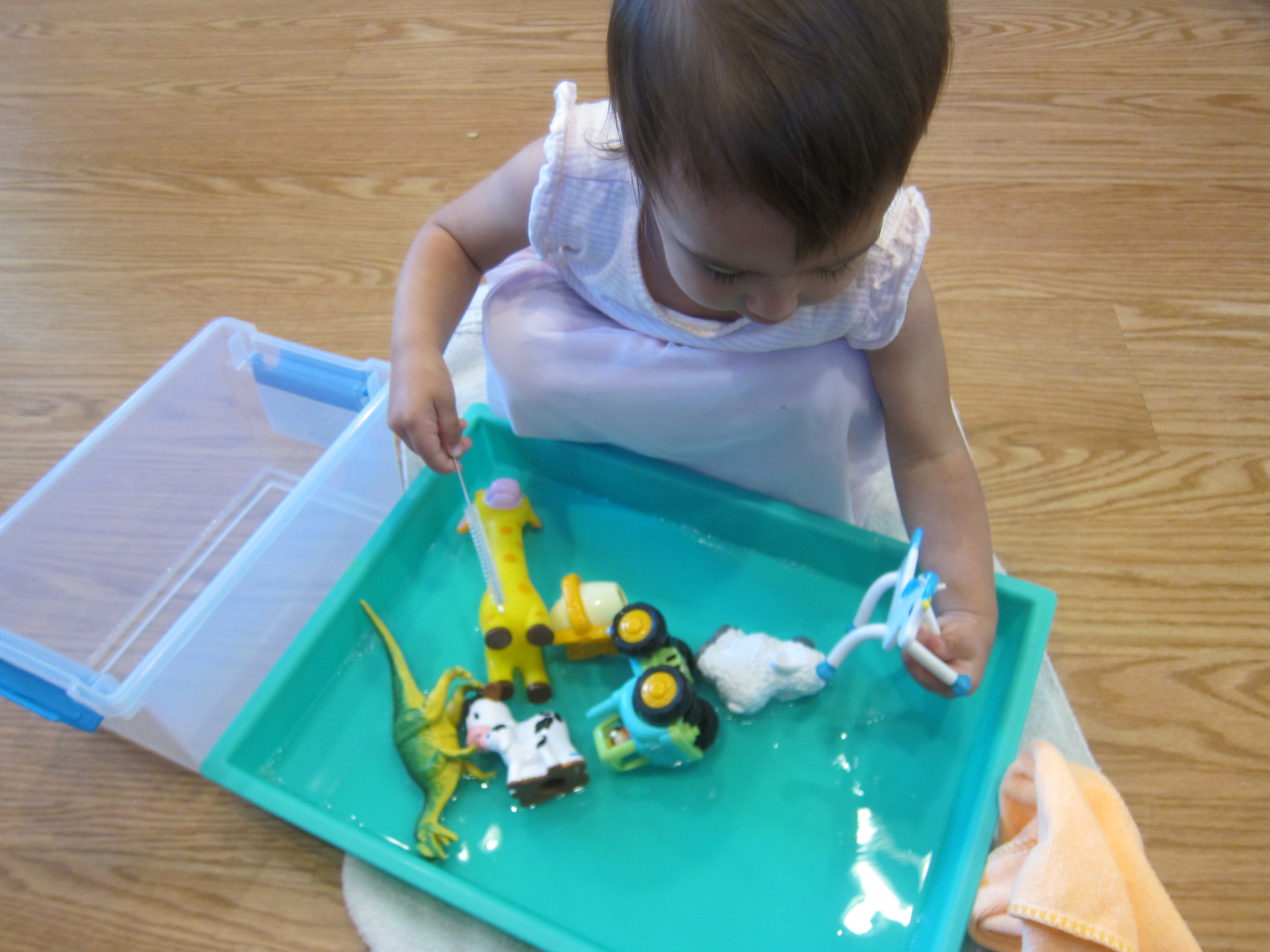 Washing Toys Water Activity – joyful parenting