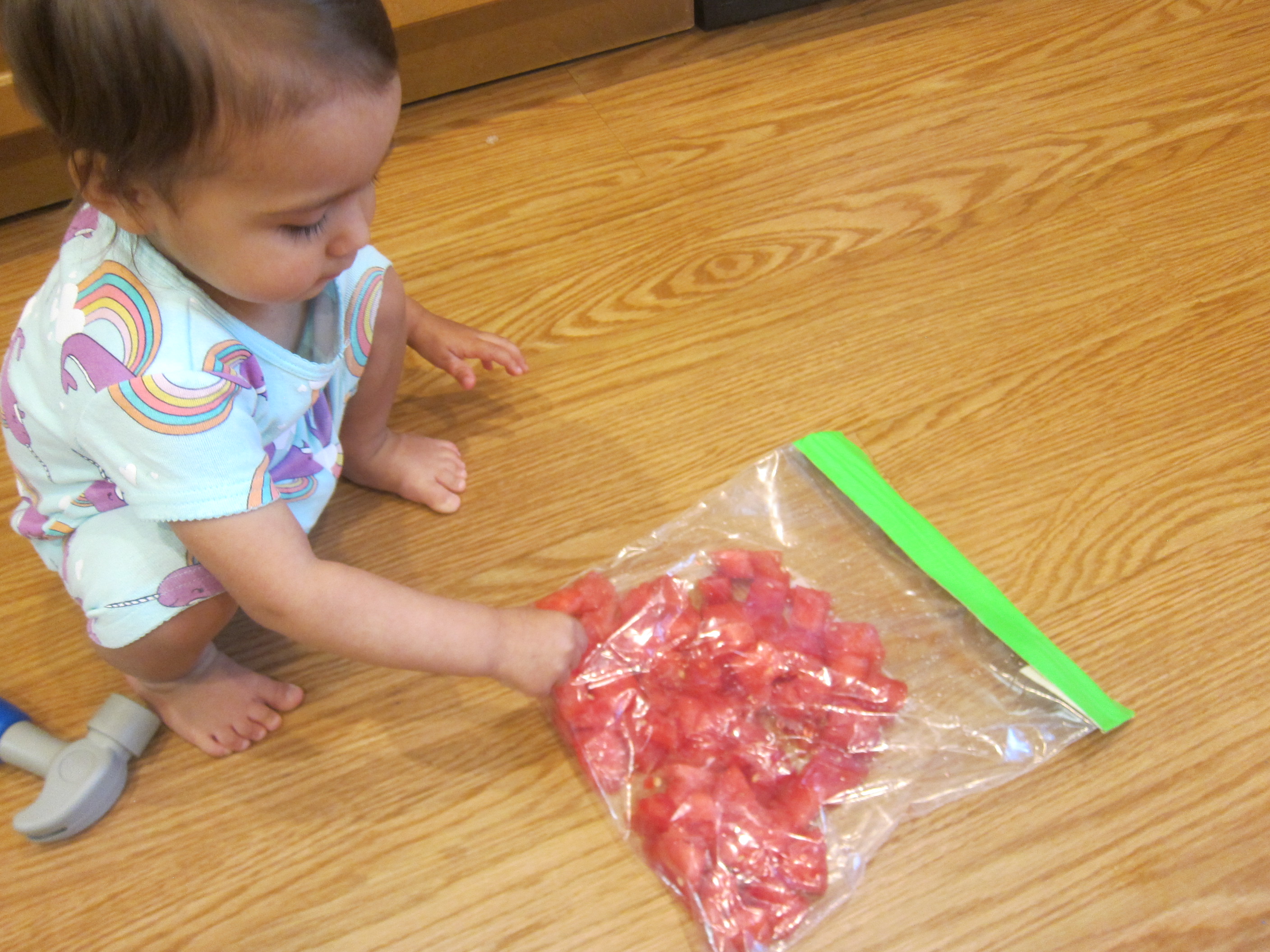 Watermelon Squish Bag, Two Ways – joyful parenting