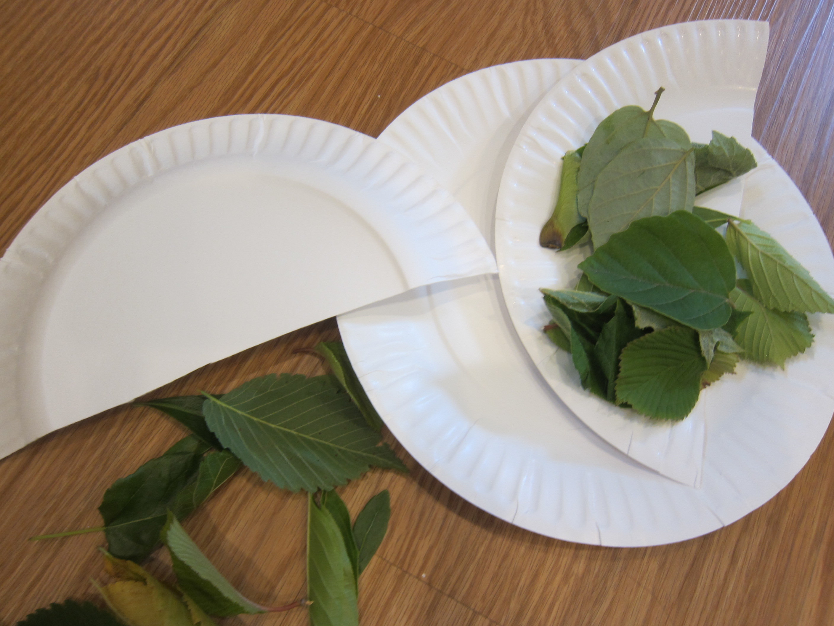 Leaf Masks – joyful parenting