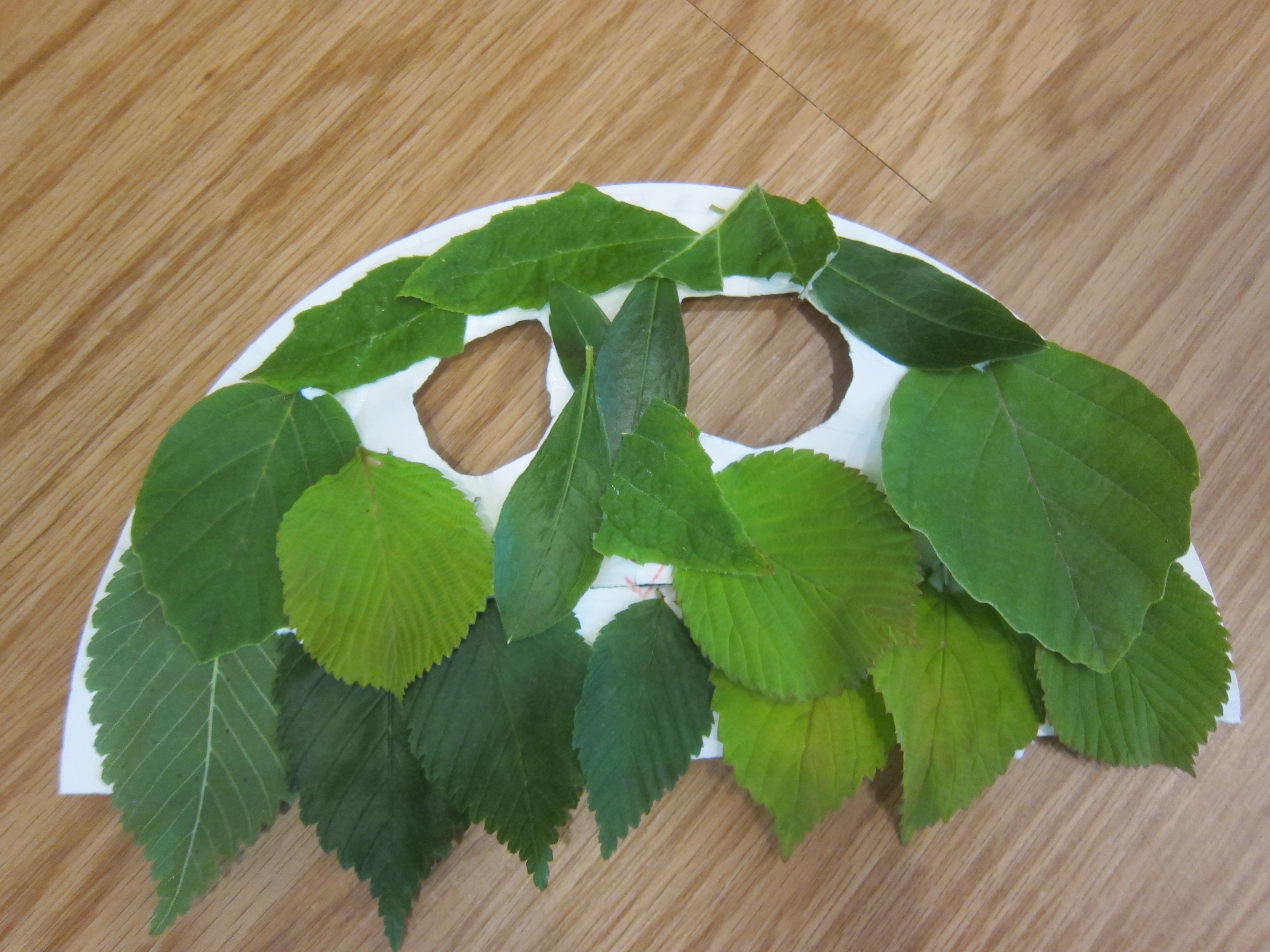 Leaf Masks – joyful parenting