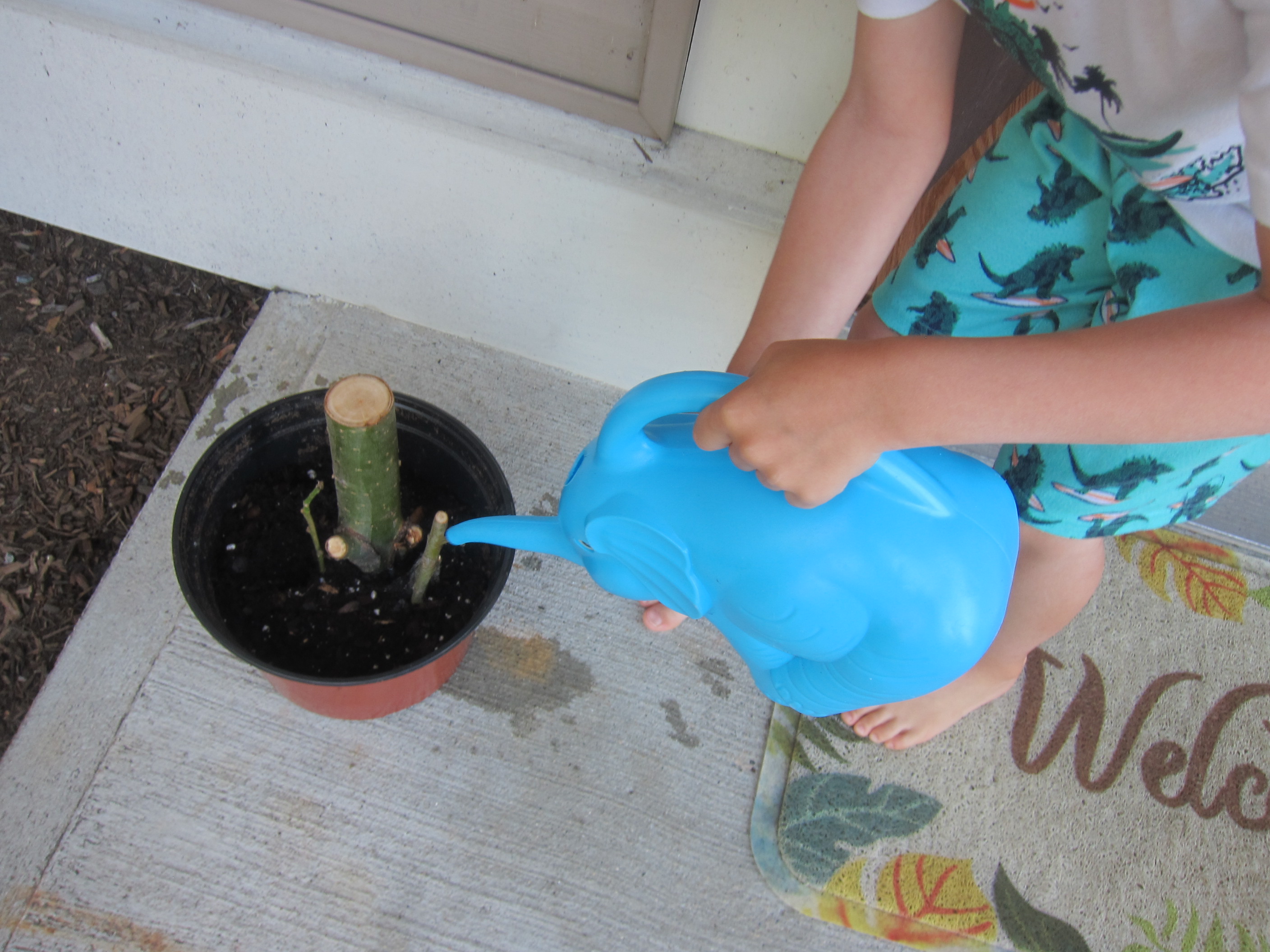 Special Tree – joyful parenting