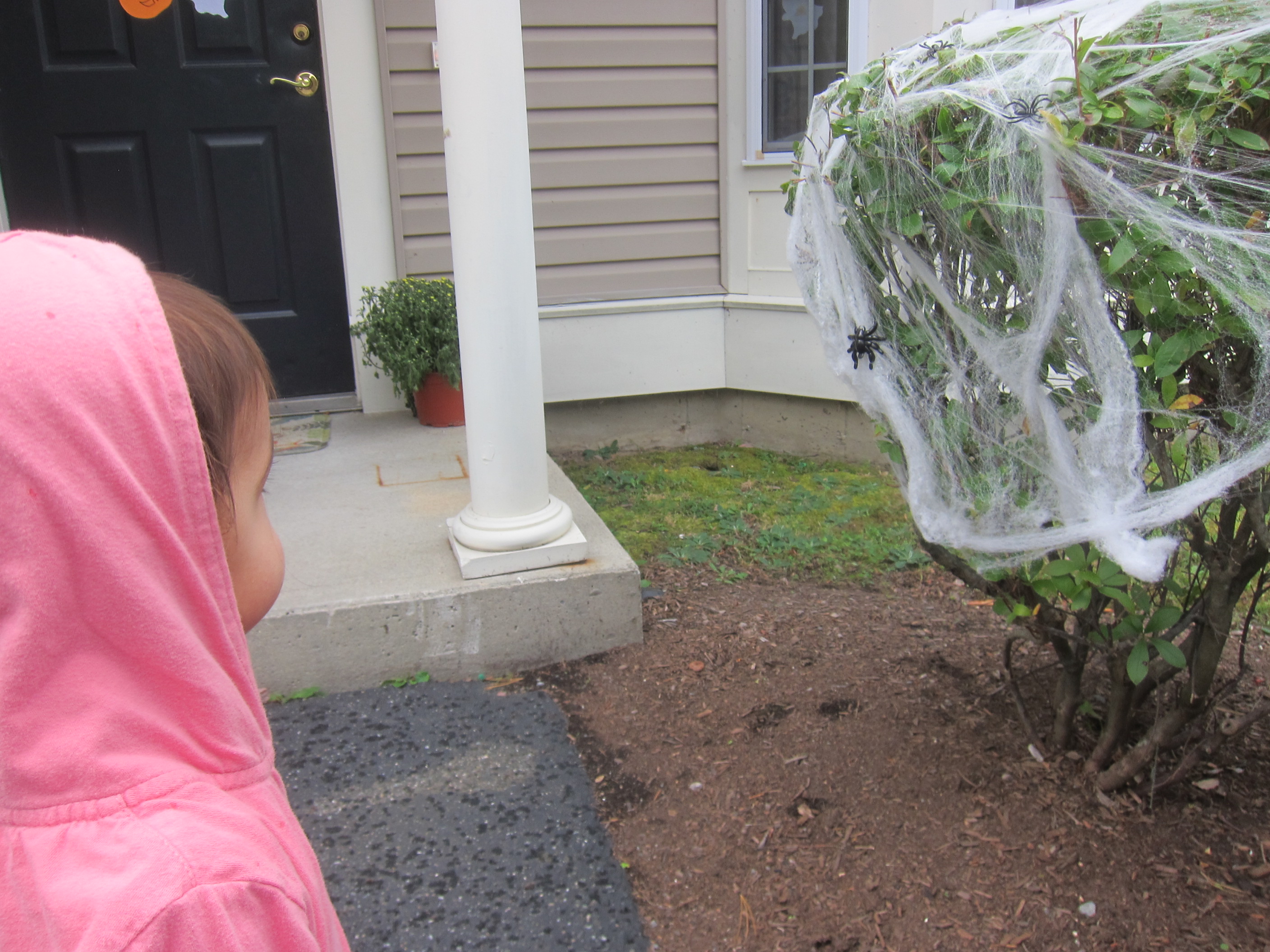 Halloween Countdown Day 2: Spider Web Stroll – joyful parenting