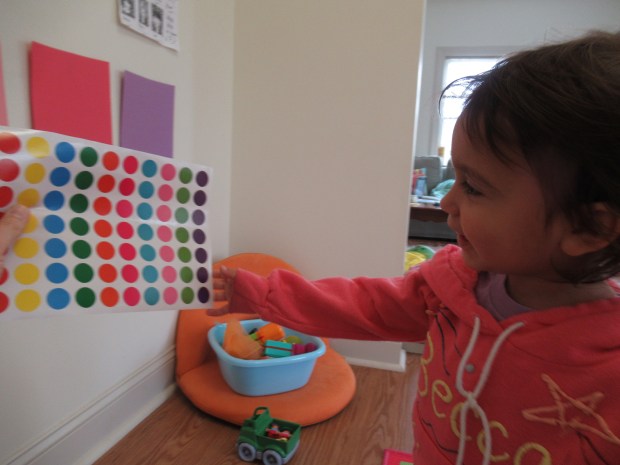 Sorting and Comparing, Two Ways – joyful parenting