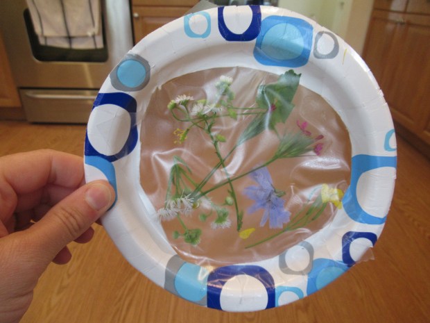 Pretty Nature Collage Suncatcher – joyful parenting