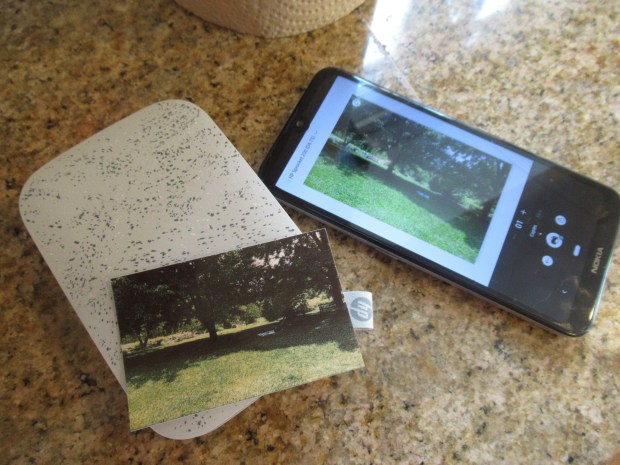 My Tree Journal – joyful parenting